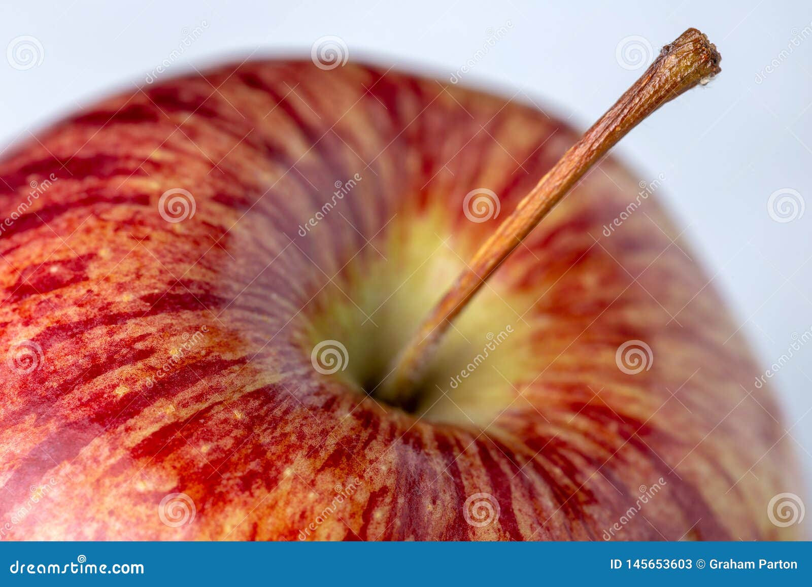 Apple Stem Texture