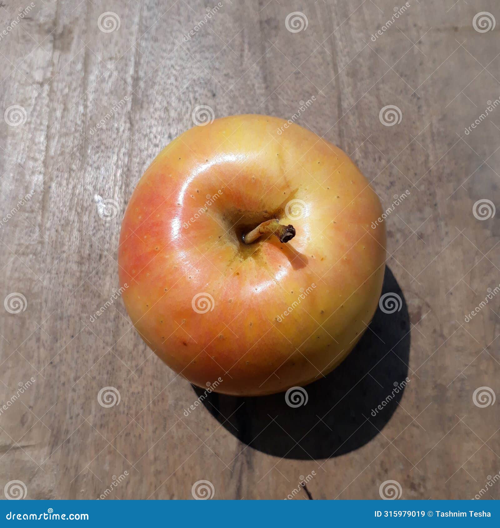 An Apple is a Round, Edible Fruit Produced by an Apple Tree Stock Image ...