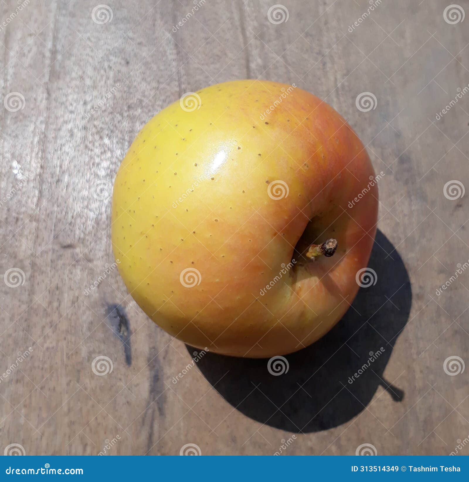 An Apple is a Round, Edible Fruit Produced by an Apple Tree Apple Trees ...