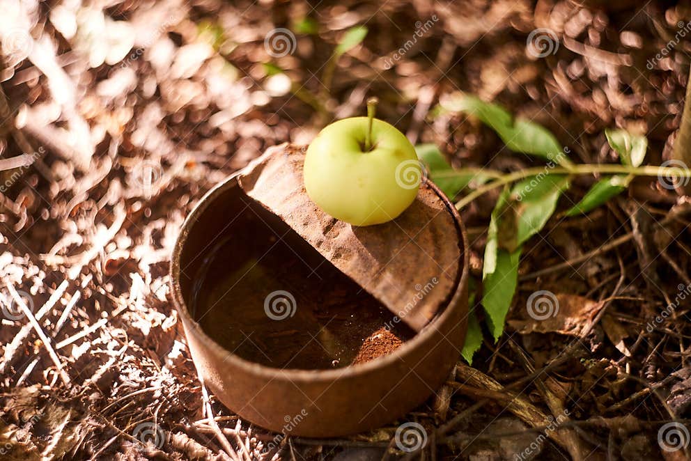 Photo of Apple on a Rusty Can Stock Image - Image of fruit, cobalt ...