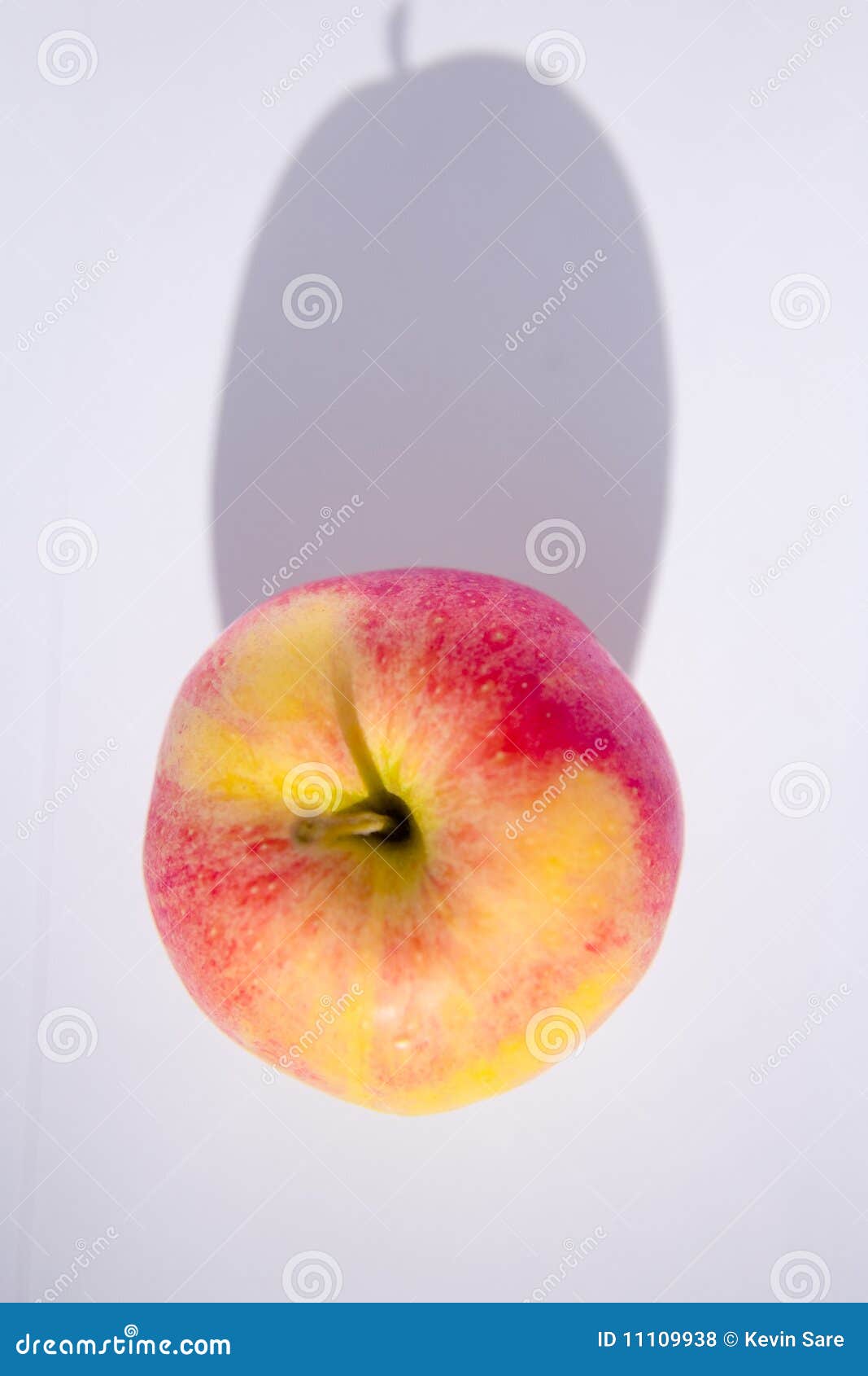 Apple and it s shadow stock photo. Image of braeburn - 11109938
