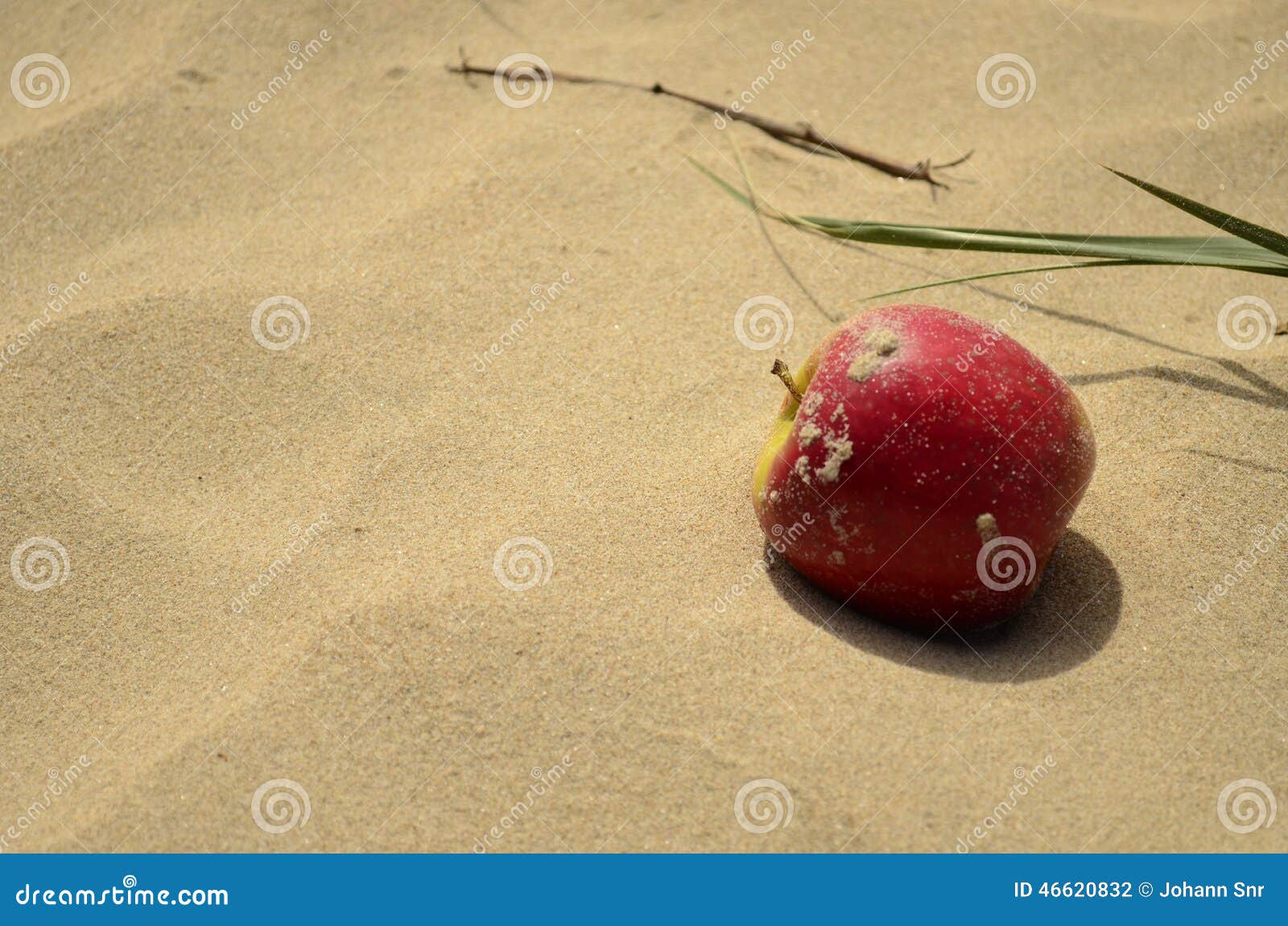Apple in sand stock photo. Image of calories, brands - 46620832