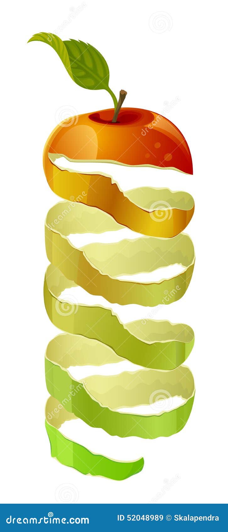 Apple-schil vector illustratie. Illustration of schil - 52048989