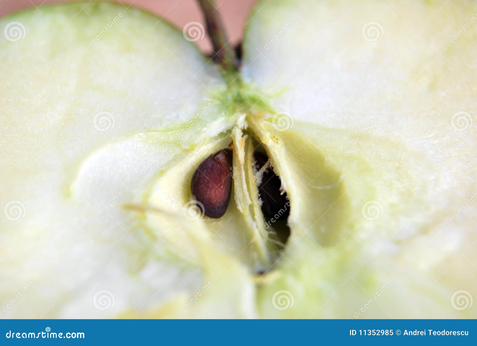 Apple Seed stock image. Image of vitamins, nature, detail - 11352985