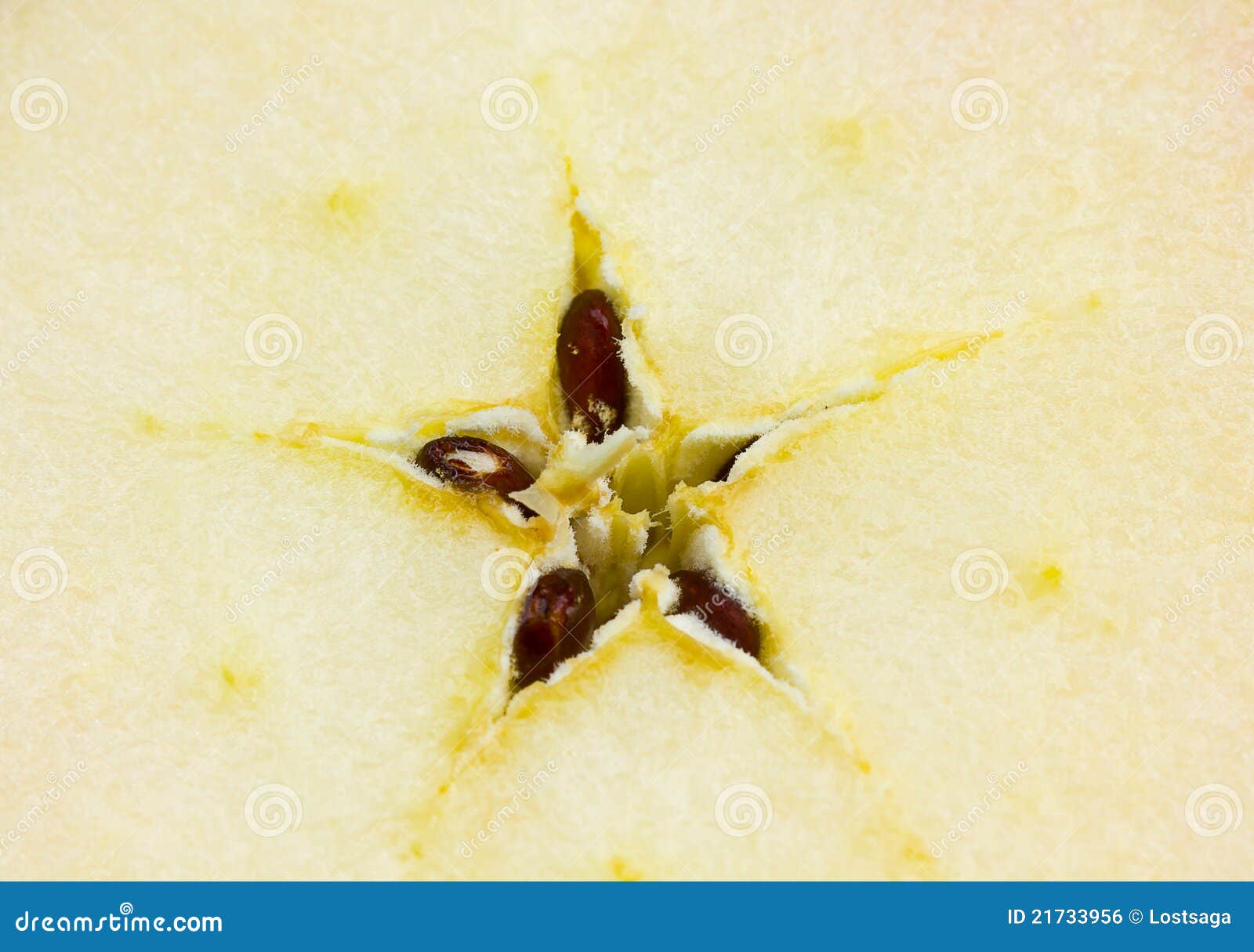 An apple with seed stock photo. Image of fruit, object - 21733956