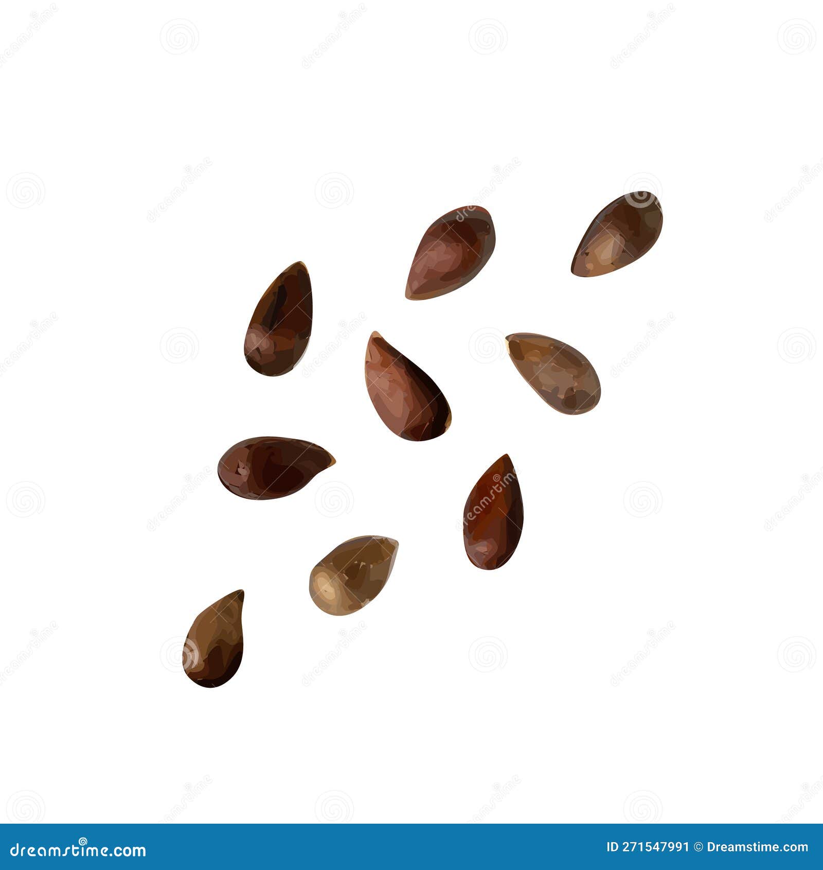 Apple Seed Isolated, Apples Seeds Group on White Background Stock ...