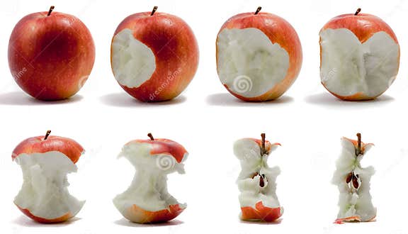 Apple Sequence stock image. Image of humorous, imprints - 8912457