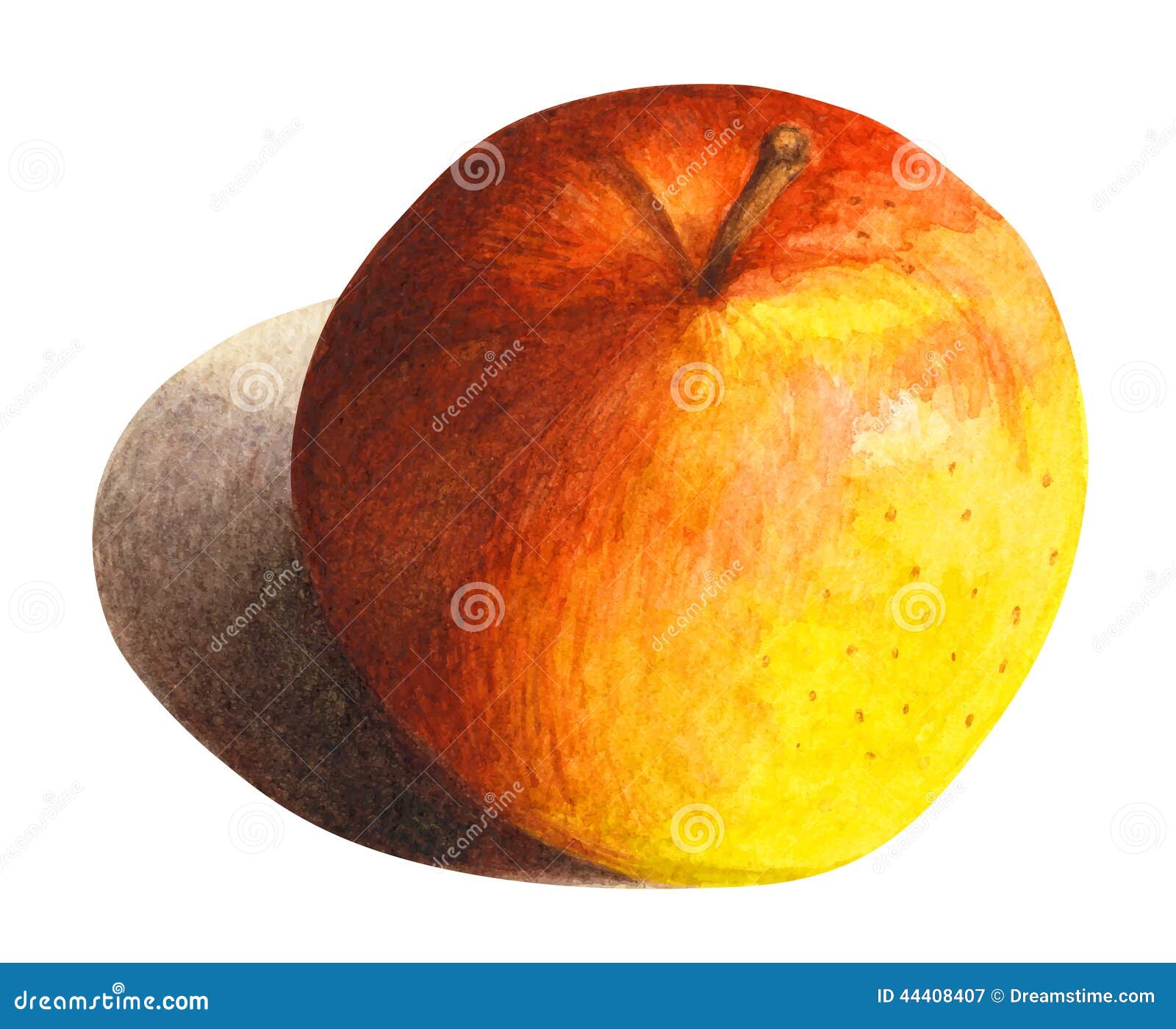Apple with Shadow in Watercolor Stock Vector - Illustration of round ...