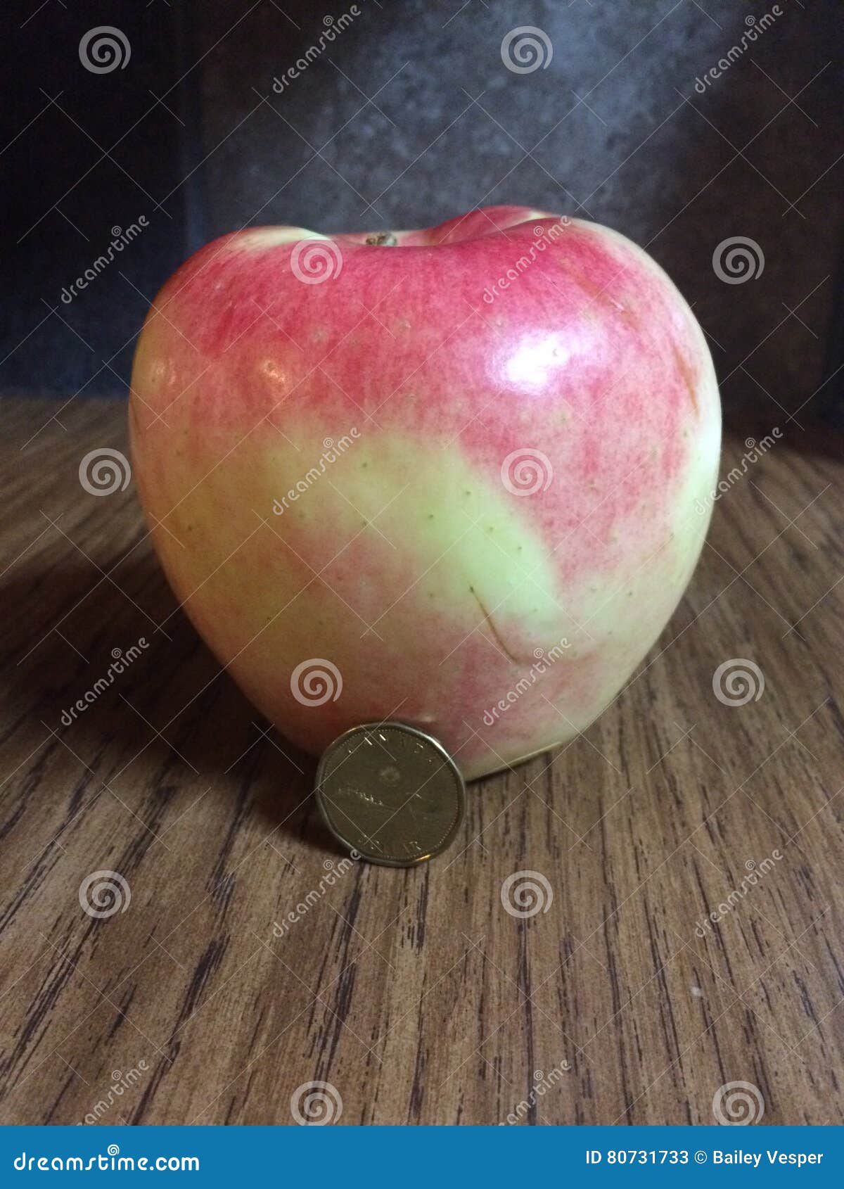 Apple stock image. Image of large, loonie, size, apple - 80731733