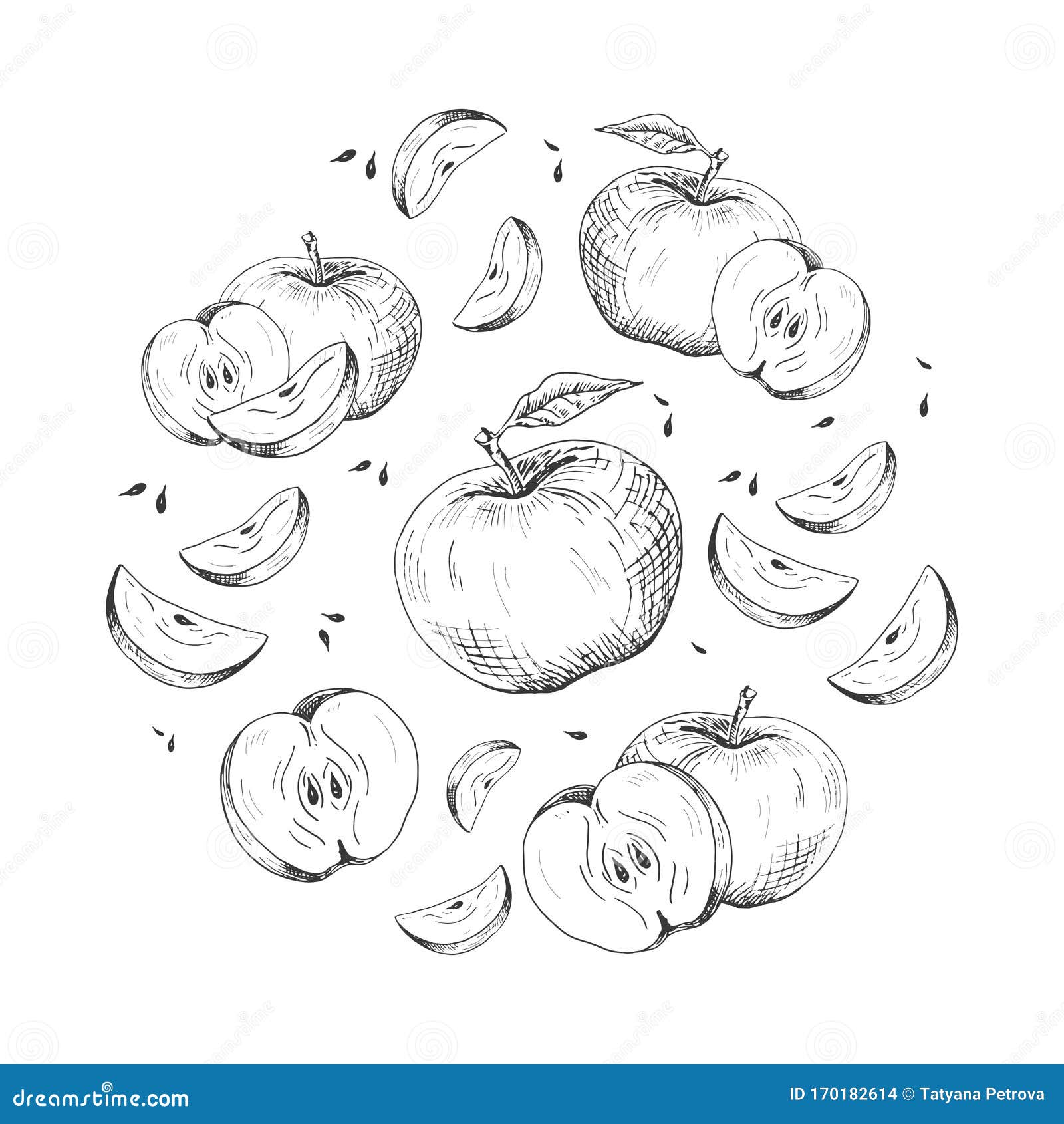 Apple Sketch. Collection of Hand-drawn Apple and Apple Slices, Isolated ...