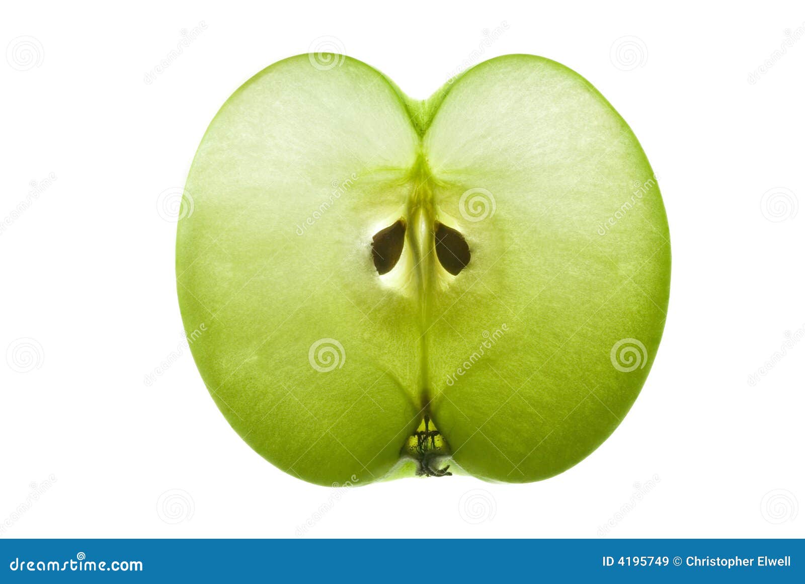 Apple slice stock image. Image of white, slice, pips, vitamins - 4195749