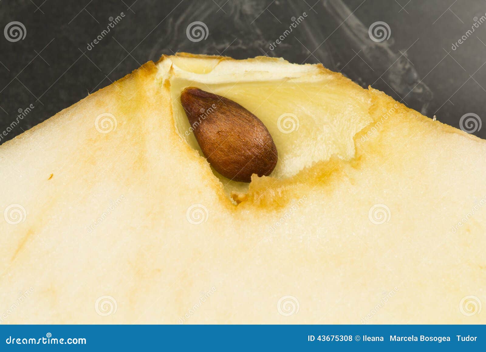 Apple Slice and Seed Texture Stock Photo - Image of eating, delicious ...