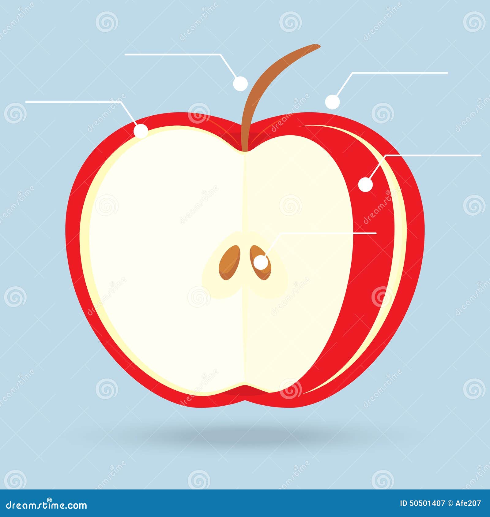 Apple Slices Structure Diagram on Background Stock Vector ...