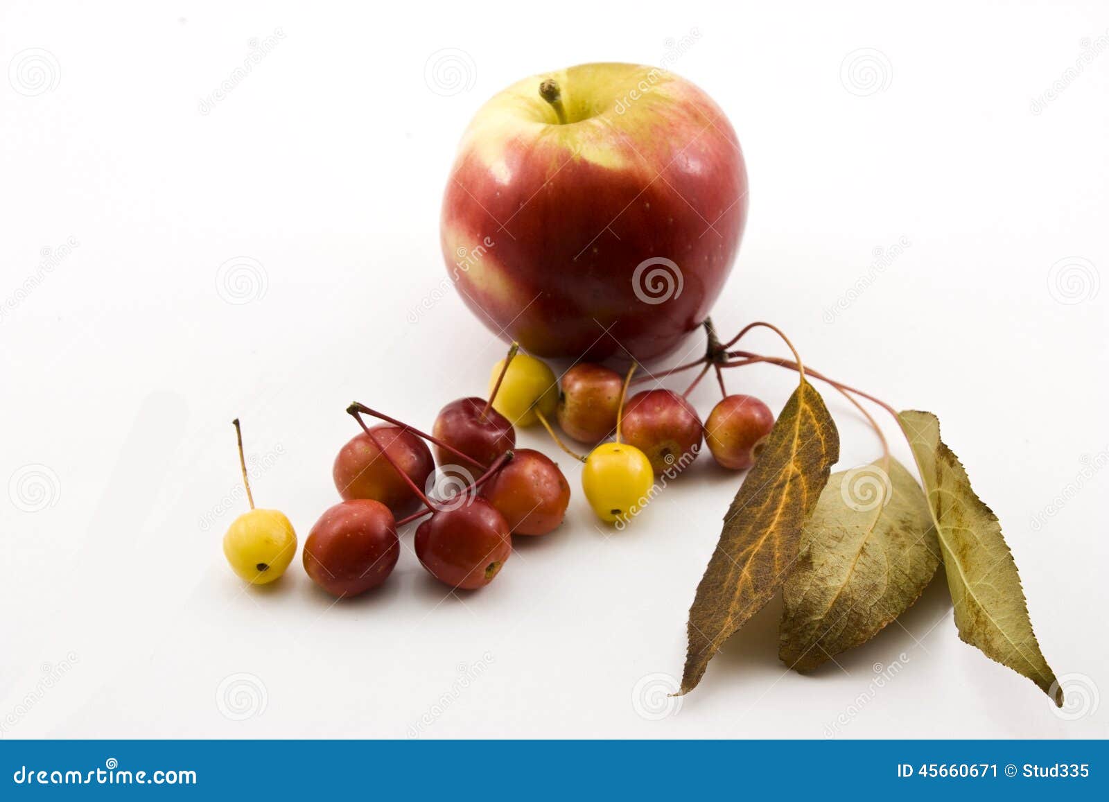 9,579 Apple Small Apples Photos - Free & Royalty-Free Stock Photos from ...
