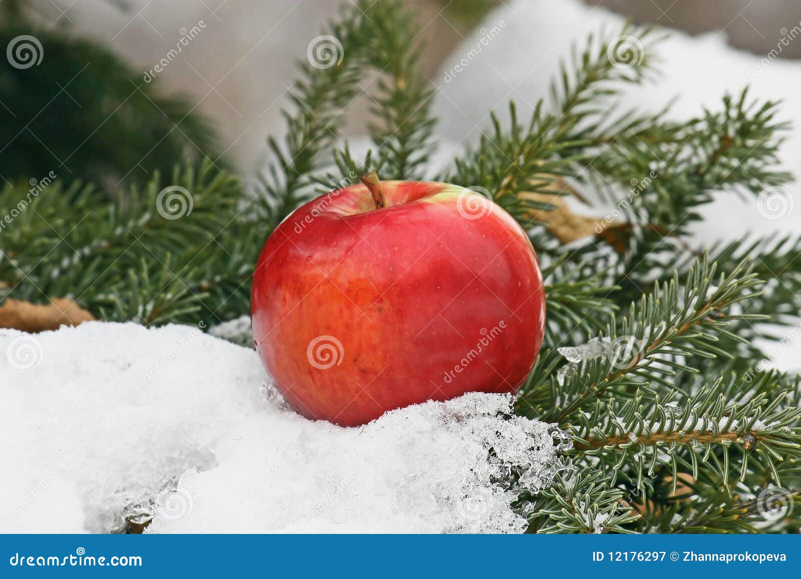 Apple on snow stock image. Image of nature, christmas - 12176297