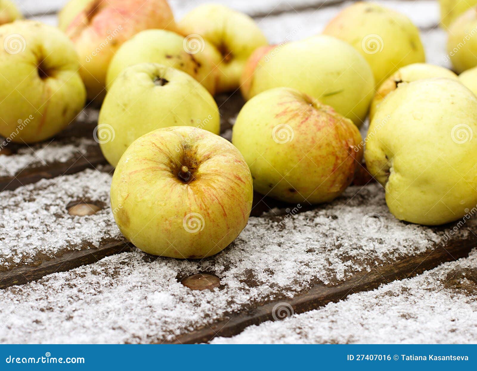 Apple on snow stock photo. Image of healthy, fruit, fresh - 27407016