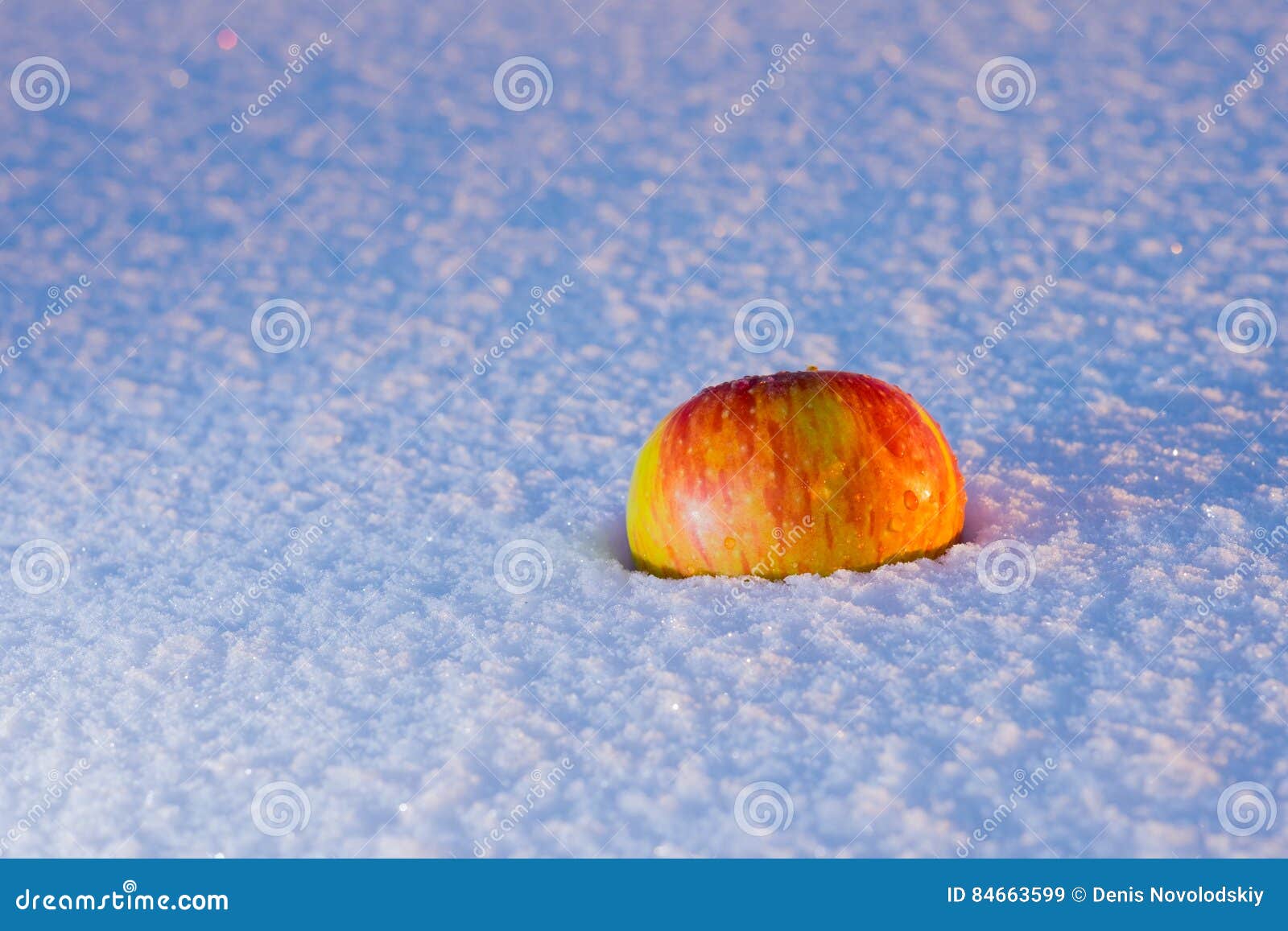 Apple on snow stock image. Image of ecology, fresh, orange - 84663599