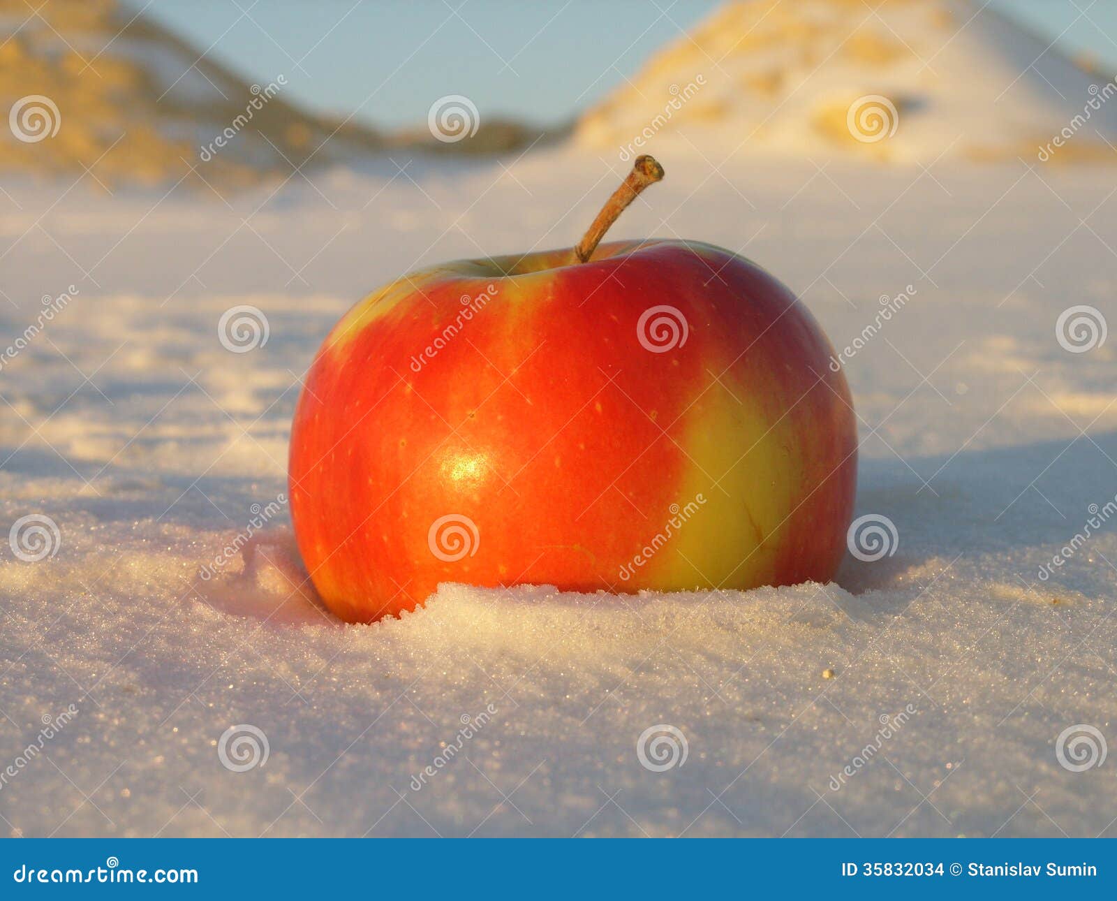Apple on snow stock photo. Image of lifestyle, fruit - 35832034