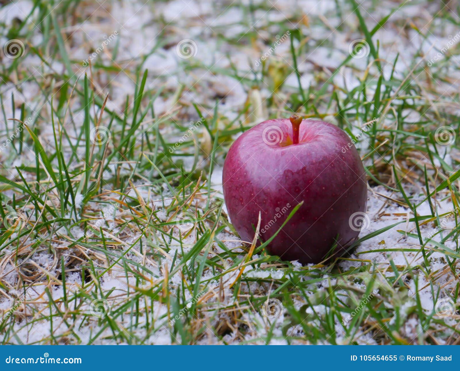 Apple Snow stock image. Image of blue, copt, catholic - 105654655