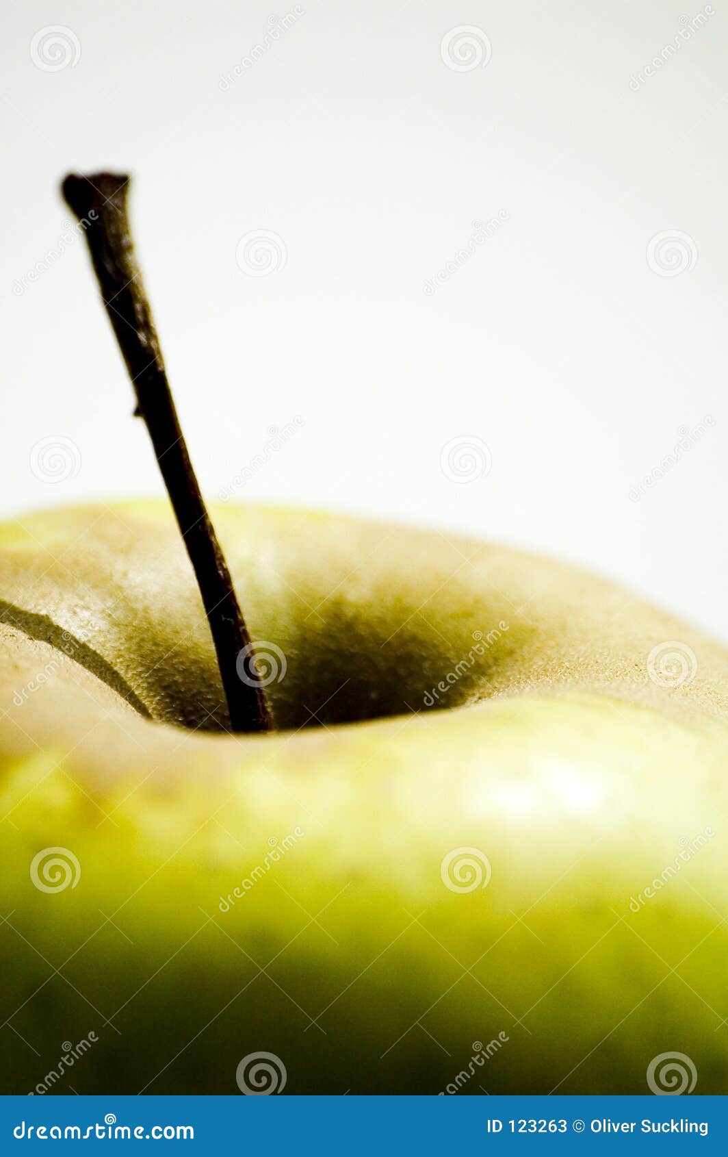 Apple Stalk Stock Photos - Image: 123263
