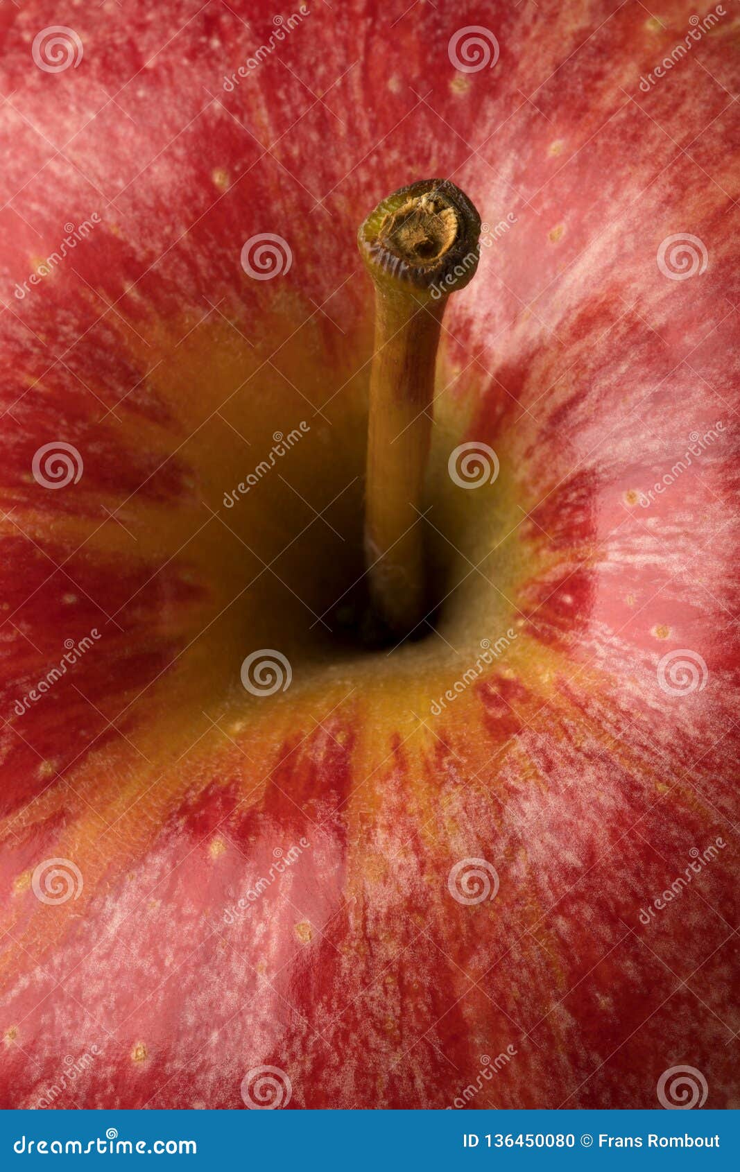 Apple stalk close up stock photo. Image of eating, shape - 136450080