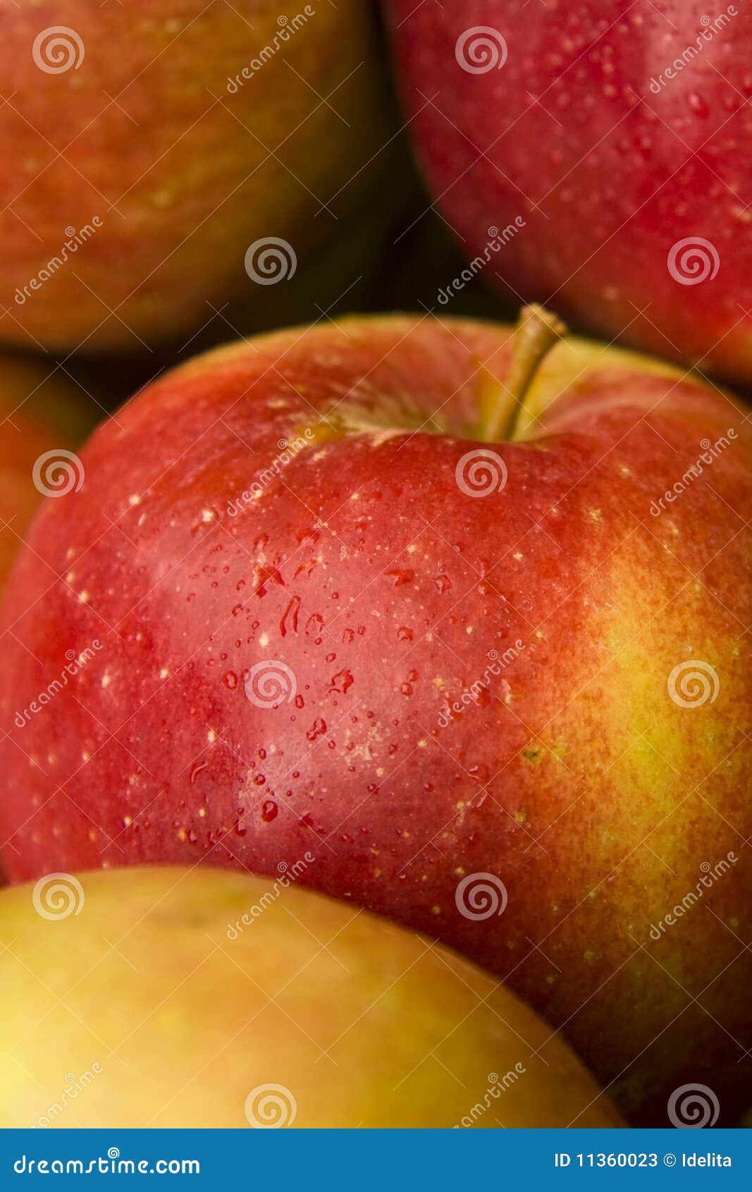 Apple Stem stock image. Image of meal, drop, healthy - 11360023
