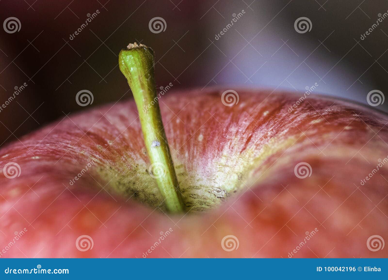 Apple stem stock photo. Image of produce, green, tasty - 100042196