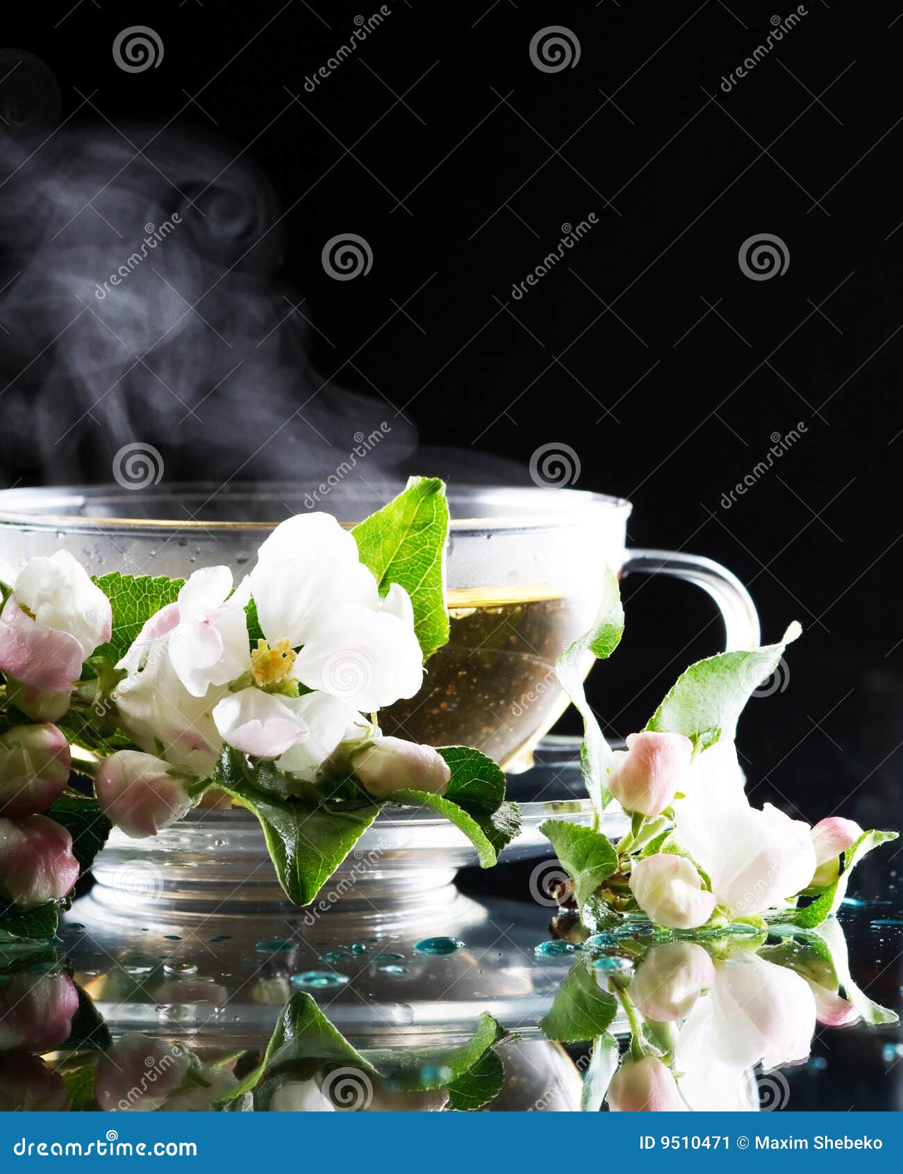 Apple tea stock image. Image of leaf, china, herbal, green - 9510471