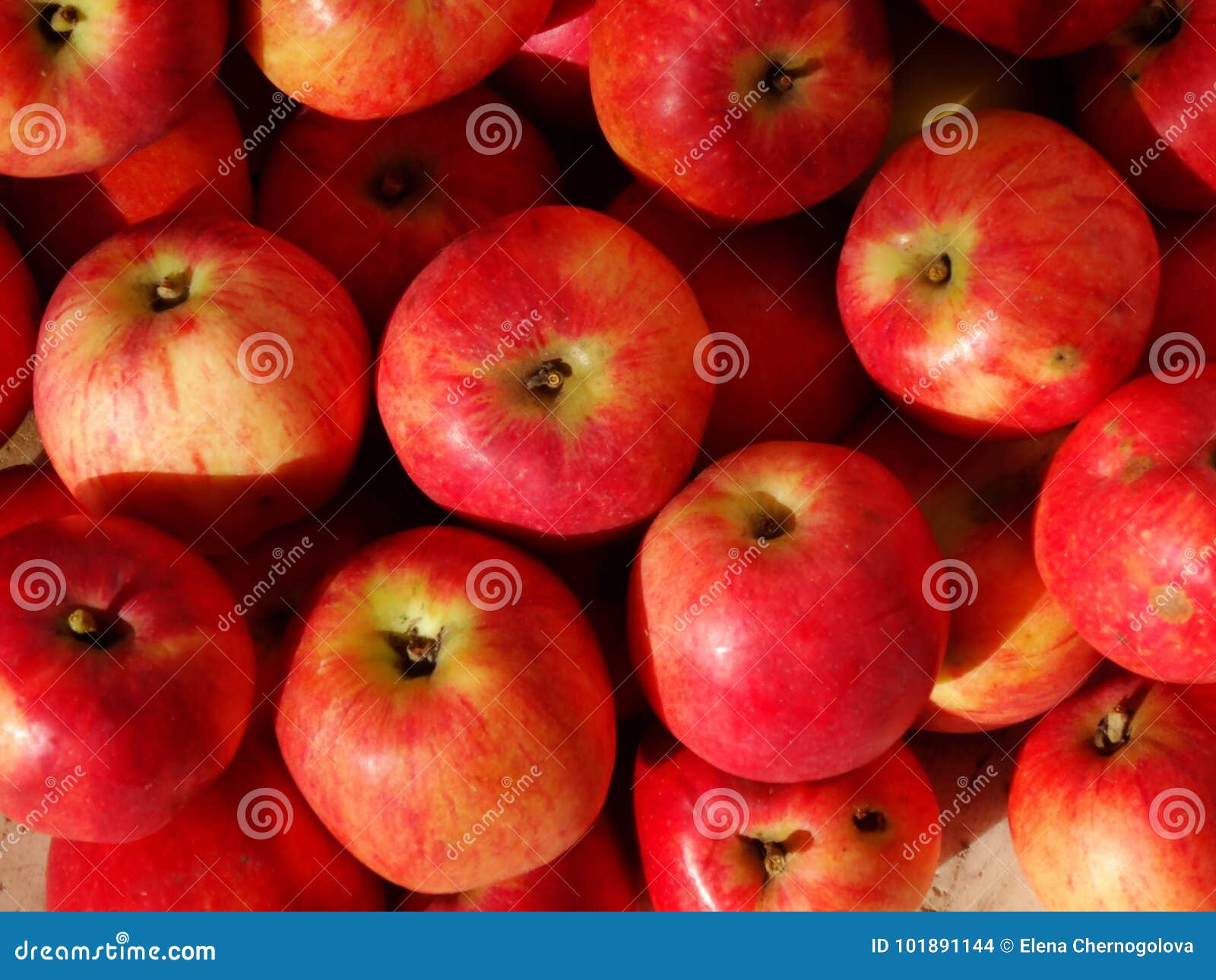 Apple. Texture. stock photo. Image of apples, ripe, fruit - 101891144