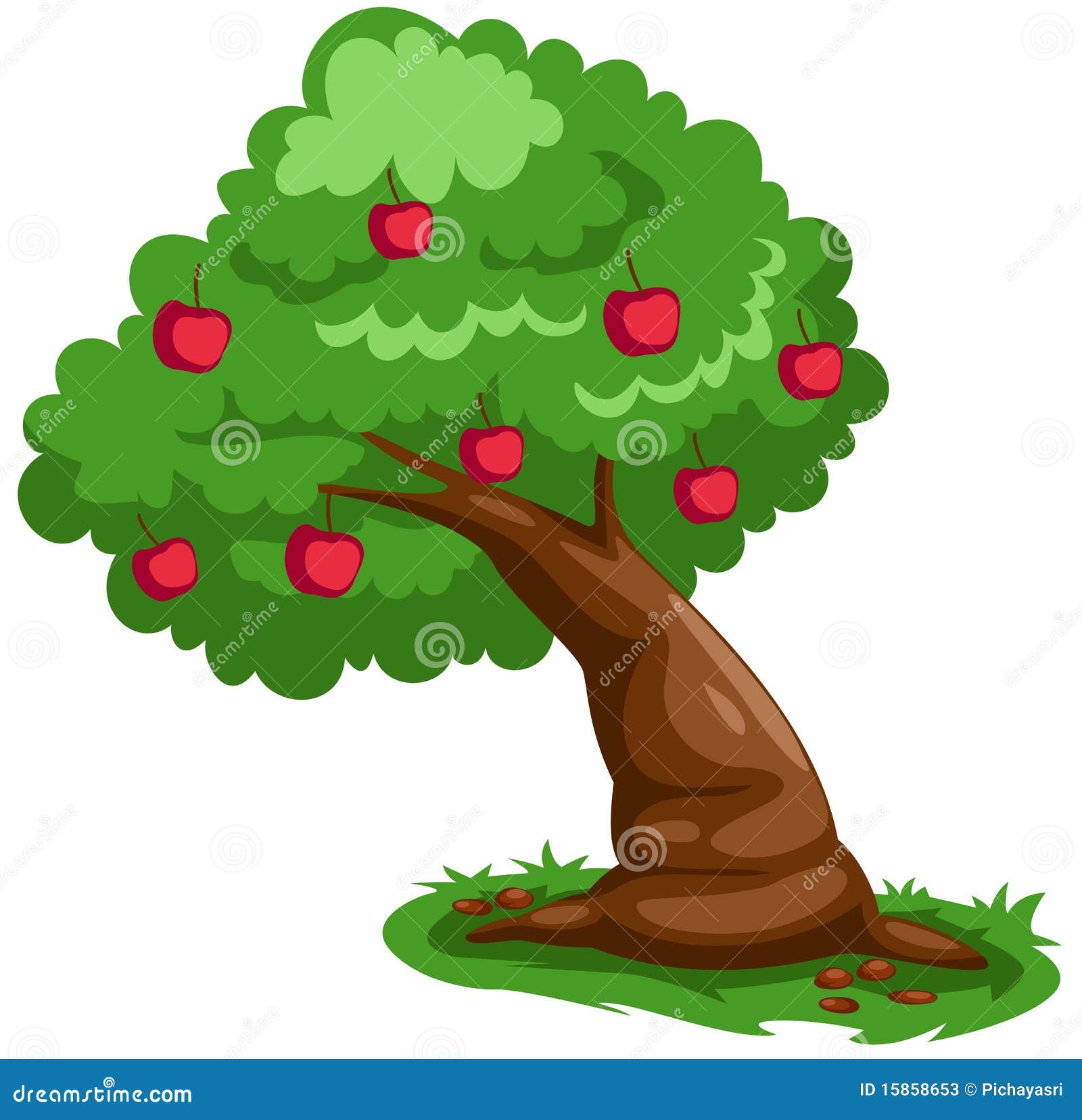 Apple Tree Growth Stages. Ripening Period Progression. Fruit Tree Life ...