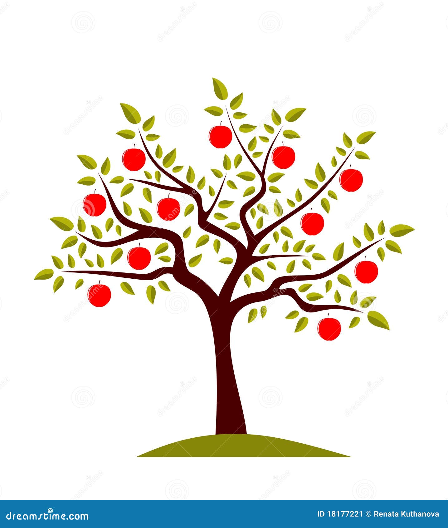 Apple Tree Growth Stages. Ripening Period Progression. Fruit Tree Life ...