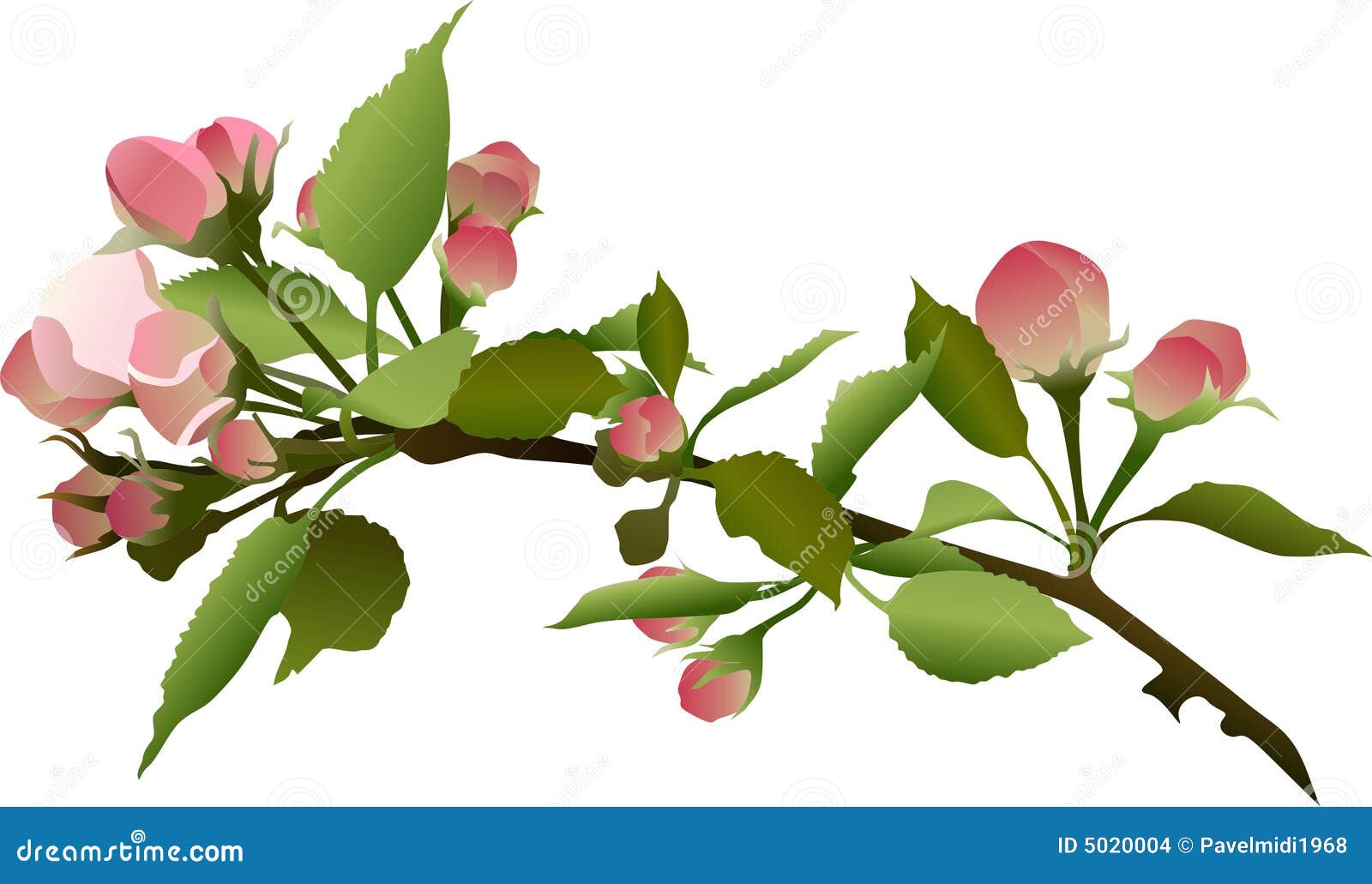 Crabapple Tree Holding A Poster. Cartoon Vector | CartoonDealer.com ...