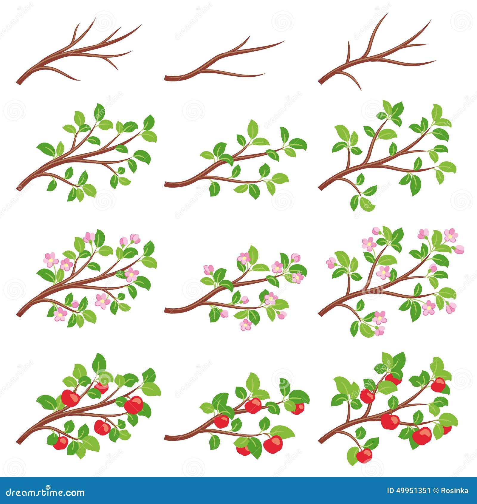 Apple tree branches stock vector. Illustration of vector - 49951351