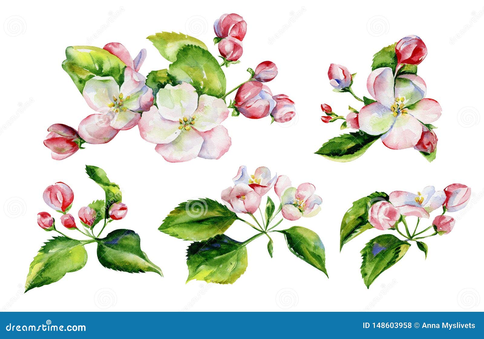 Apple Tree Branches and Flowers Seamless Pattern Stock Illustration ...