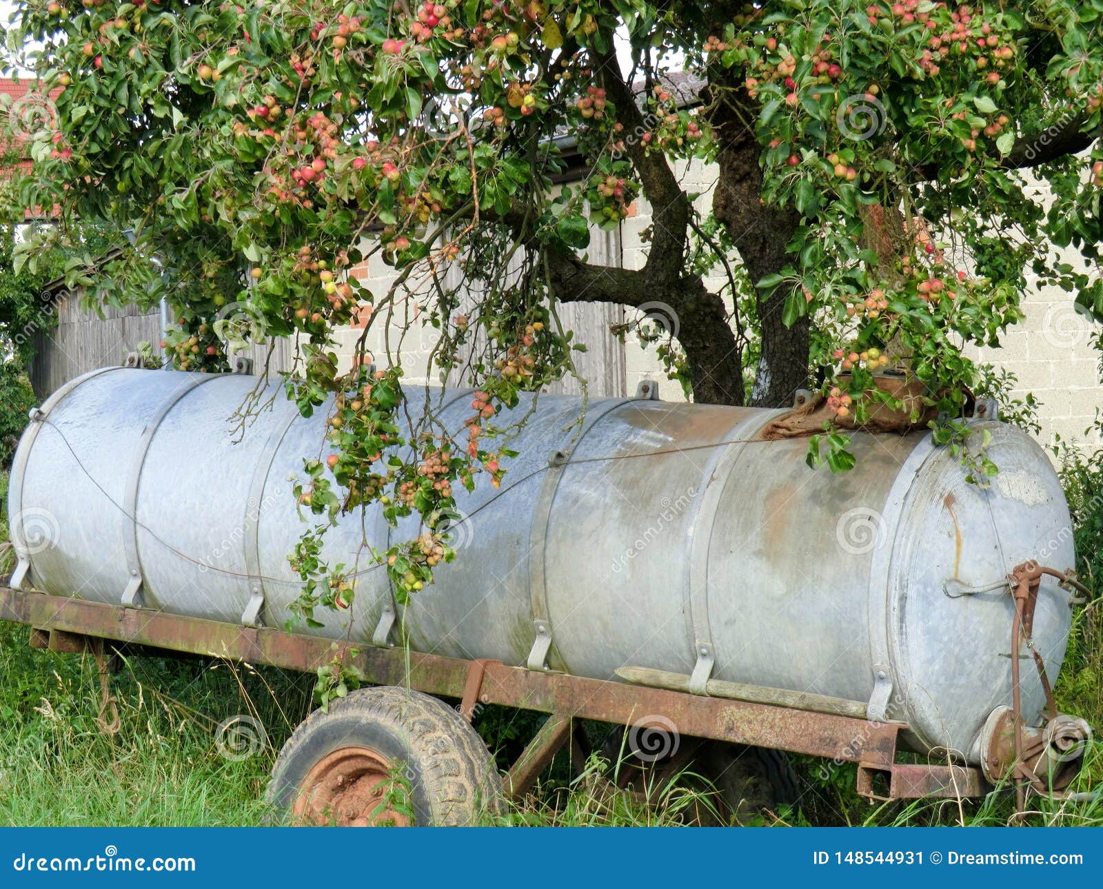 Tree3 stock image. Image of summer, equipment, plants - 148544931