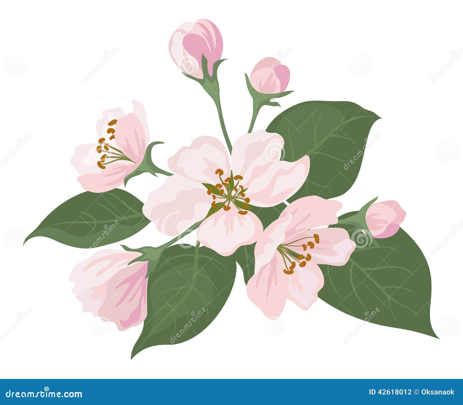 Rose Apple Tree Stock Illustrations – 1,252 Rose Apple Tree Stock ...