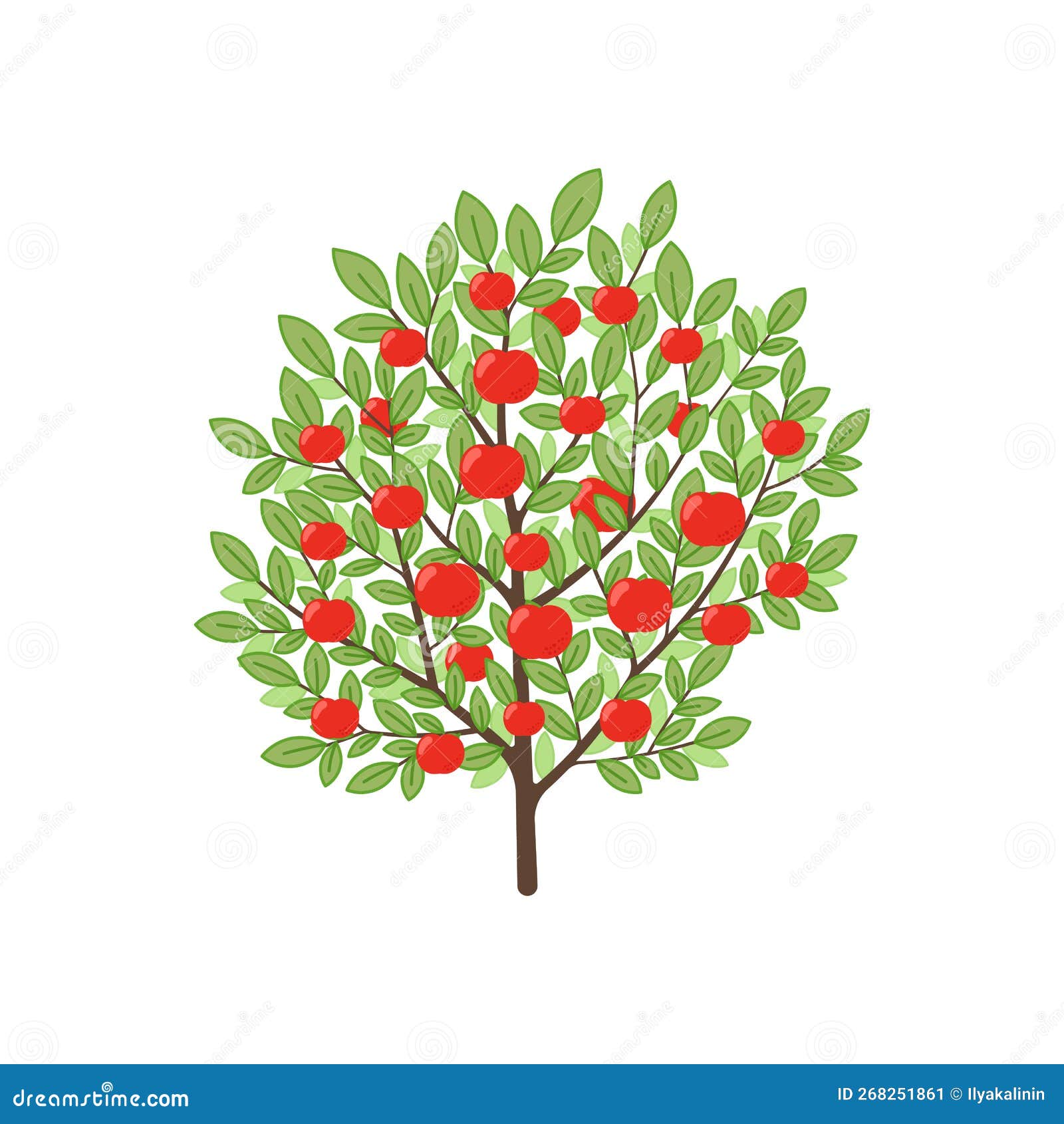 Apple Tree. Fruit Tree. Vector Illustration. Stock Illustration ...