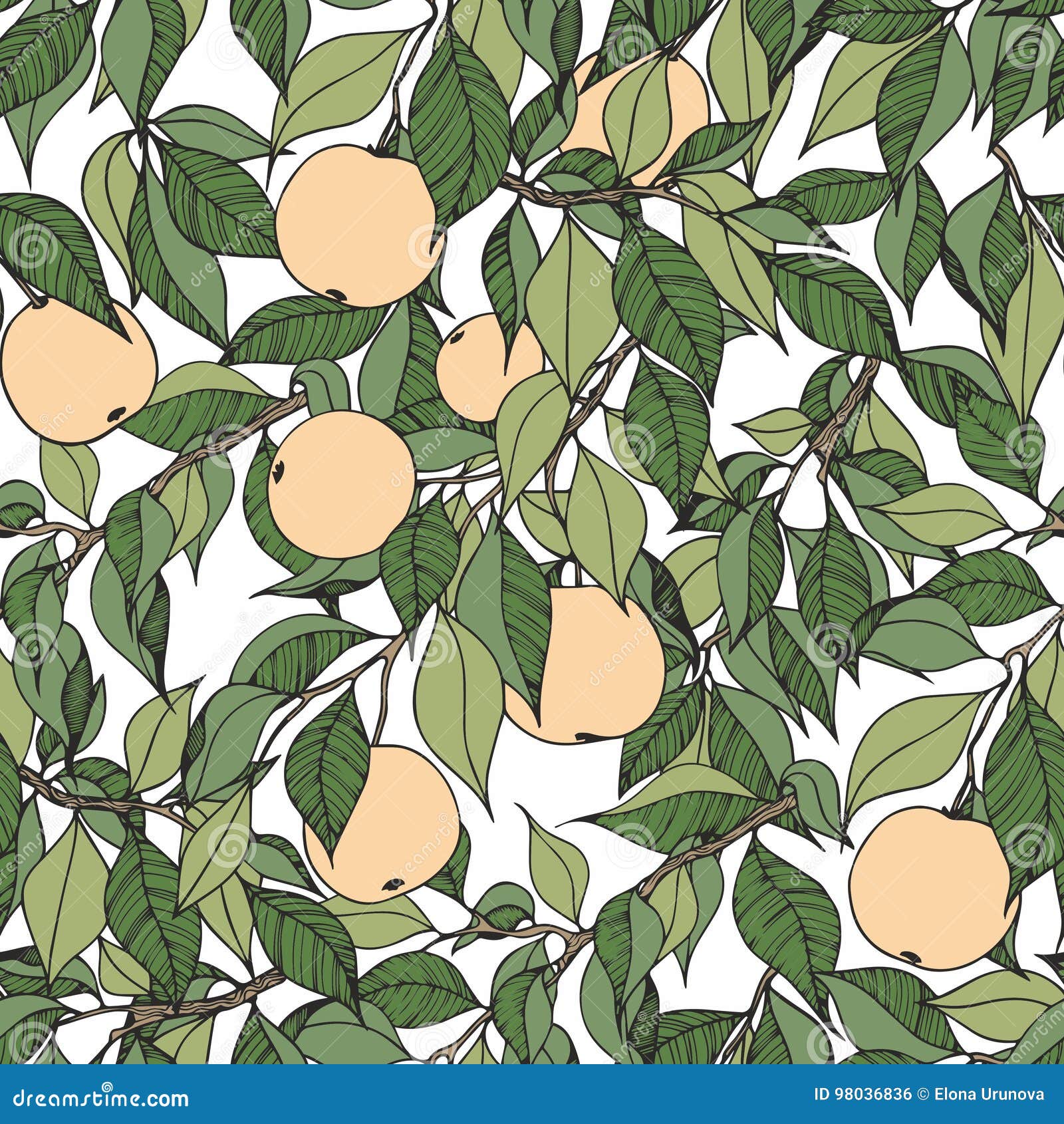 Apple Tree. Hand Drawing with Apple Tree Branches Stock Vector ...