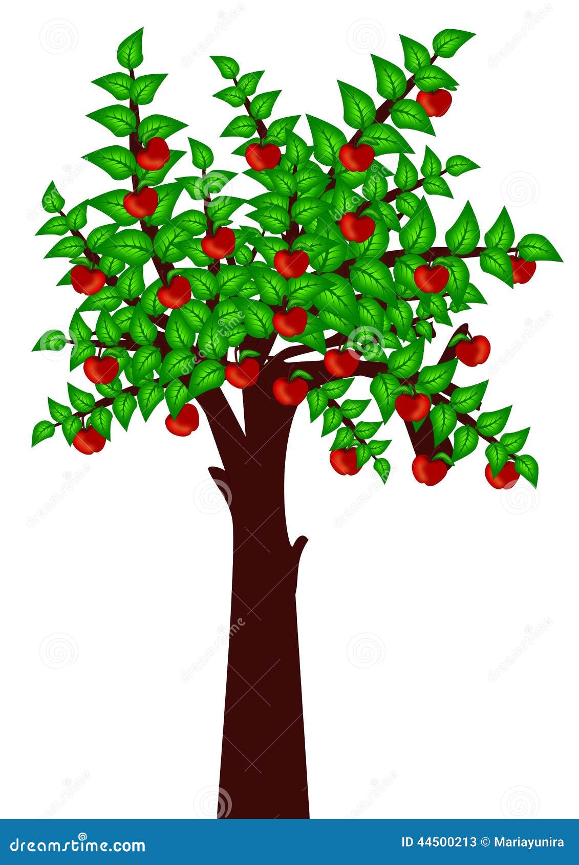 Apple tree stock illustration. Illustration of full, isolated - 44500213