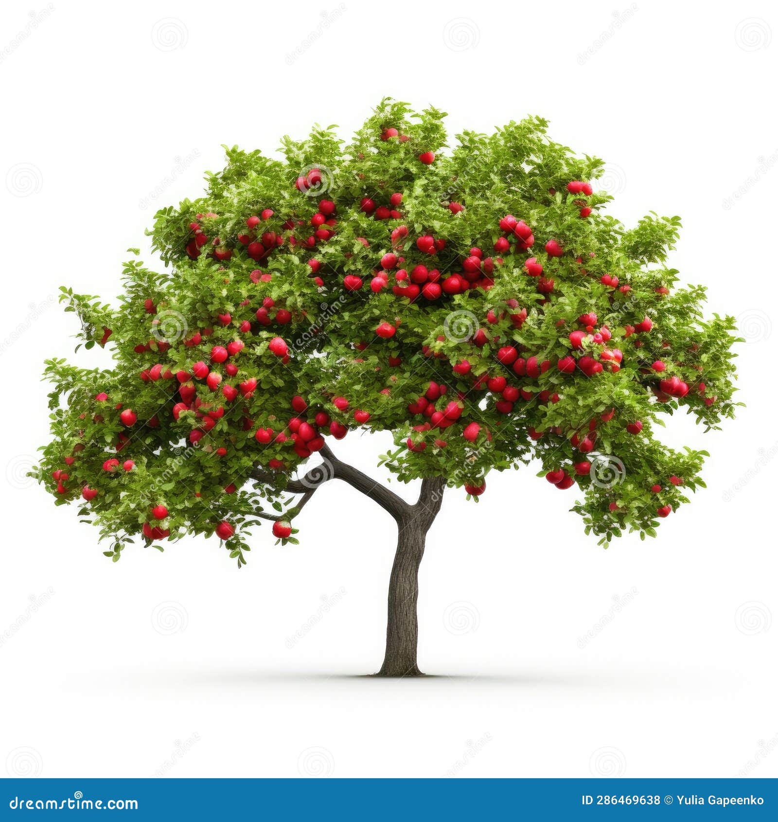 Apple Tree Isolated. Illustration AI Generative Stock Illustration ...