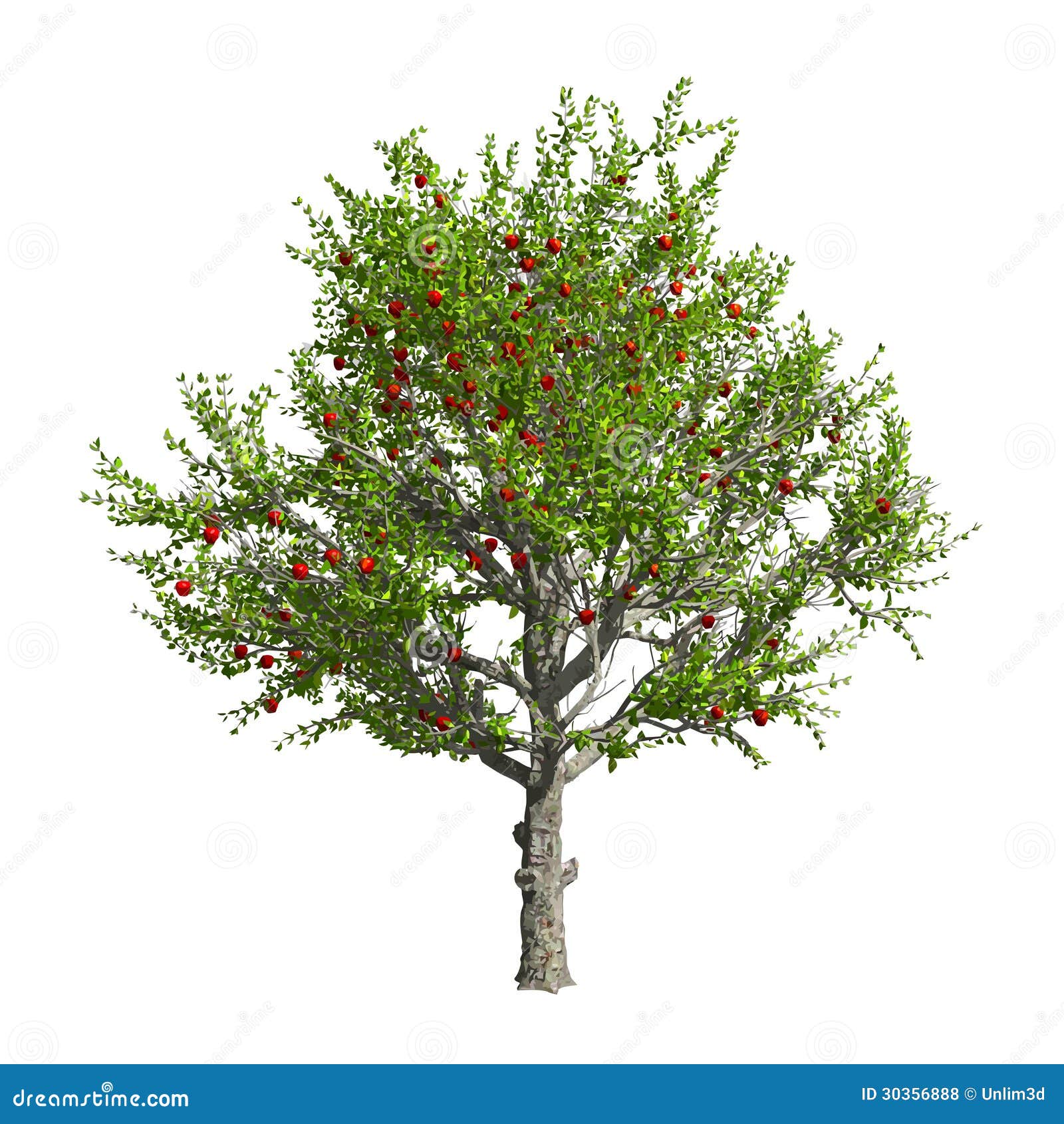 Apple Tree Isolated. Vector Illustration Stock Vector - Illustration of ...
