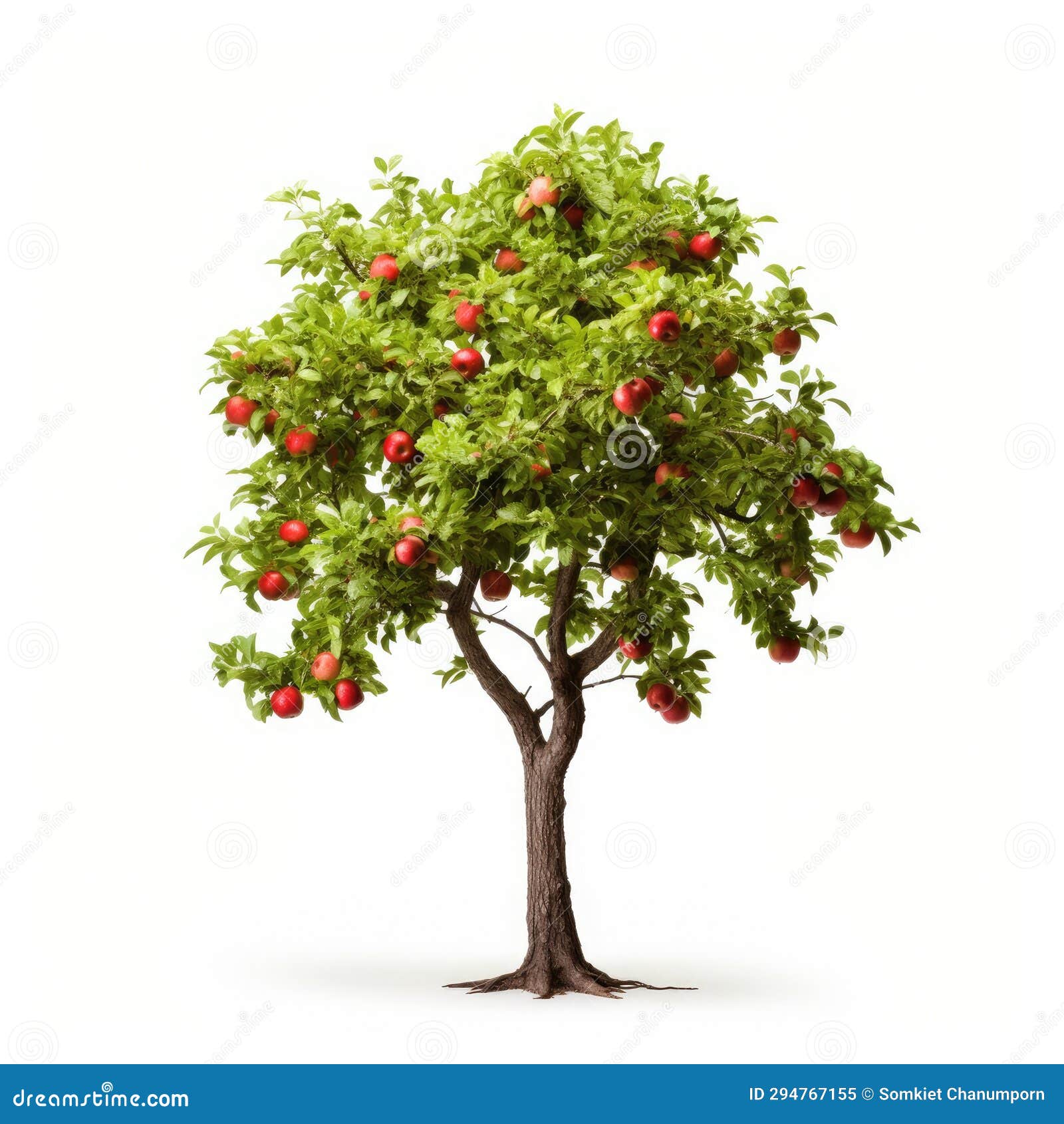 Apple Tree, Isolated White Background, Suitable for Use in Design ...