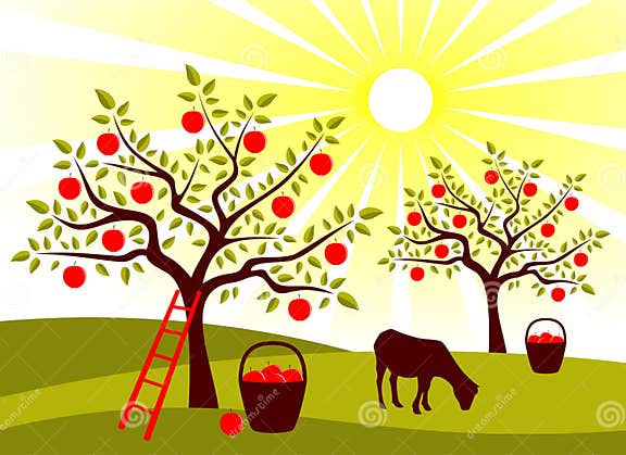 Apple tree orchard stock vector. Illustration of branch - 18274165