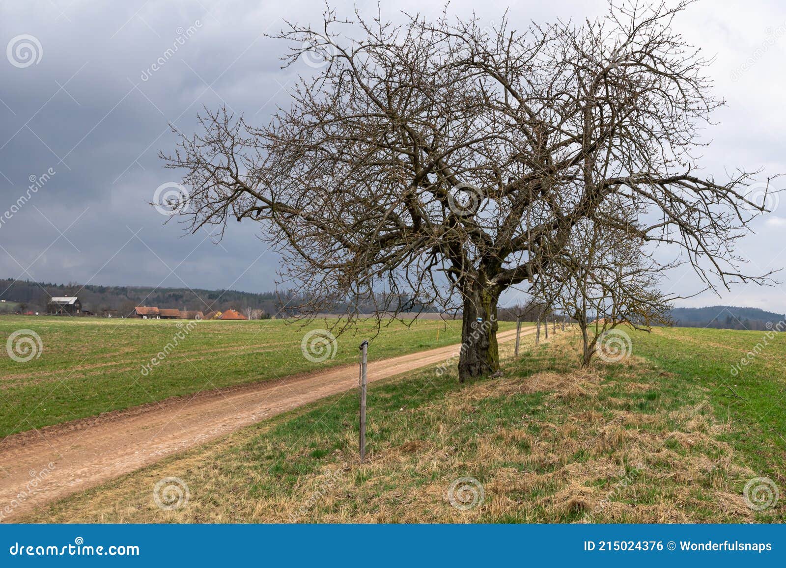 Apple Tree by the Road and the Dark Sky Stock Photo - Image of dark ...