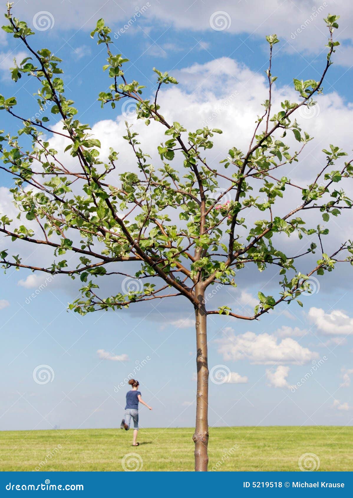 Apple Tree with Running Girl Stock Photo - Image of branch, twig: 5219518