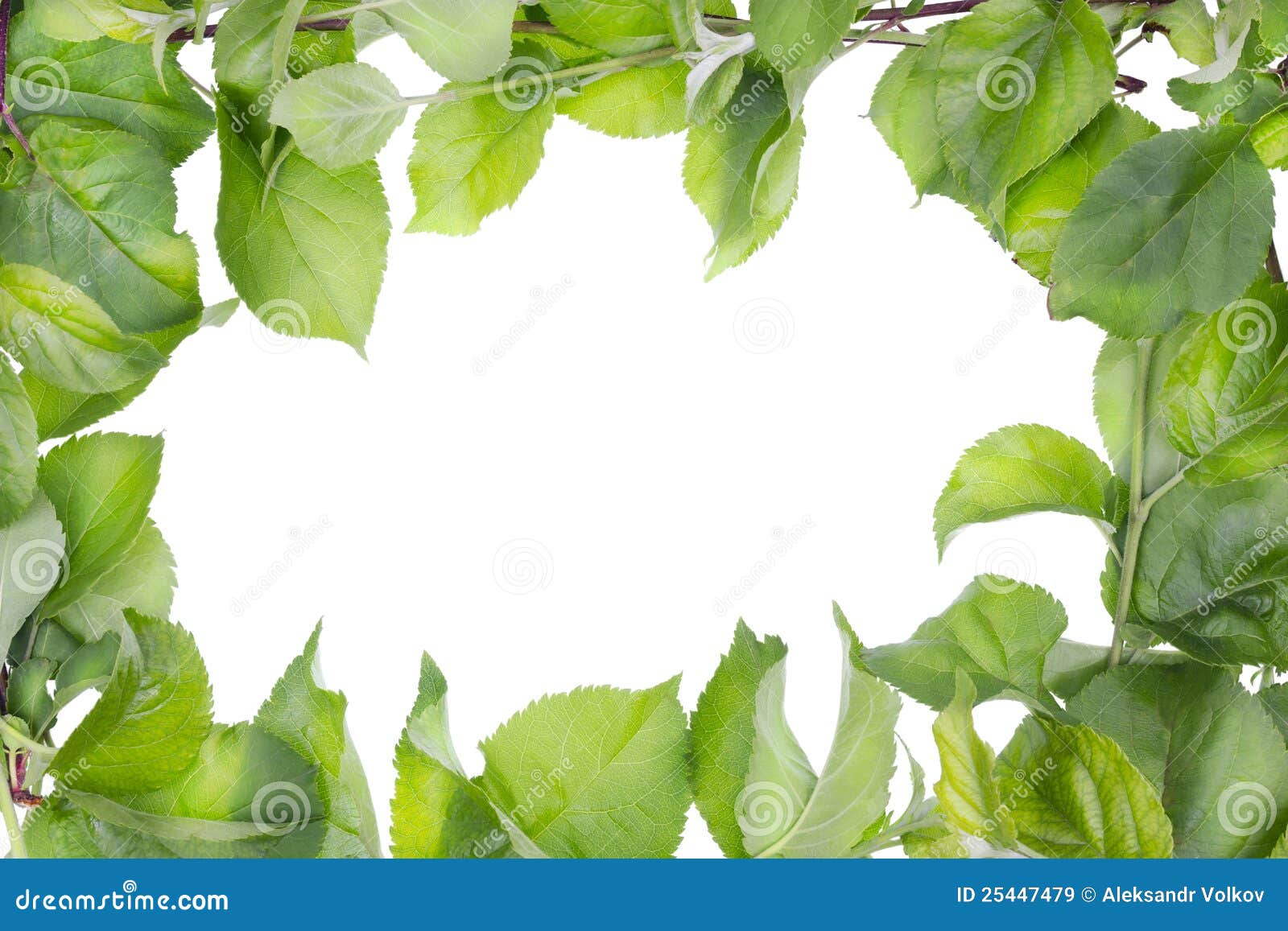 Apple Tree Spring Leaves Abstract Frame Stock Image - Image of green ...
