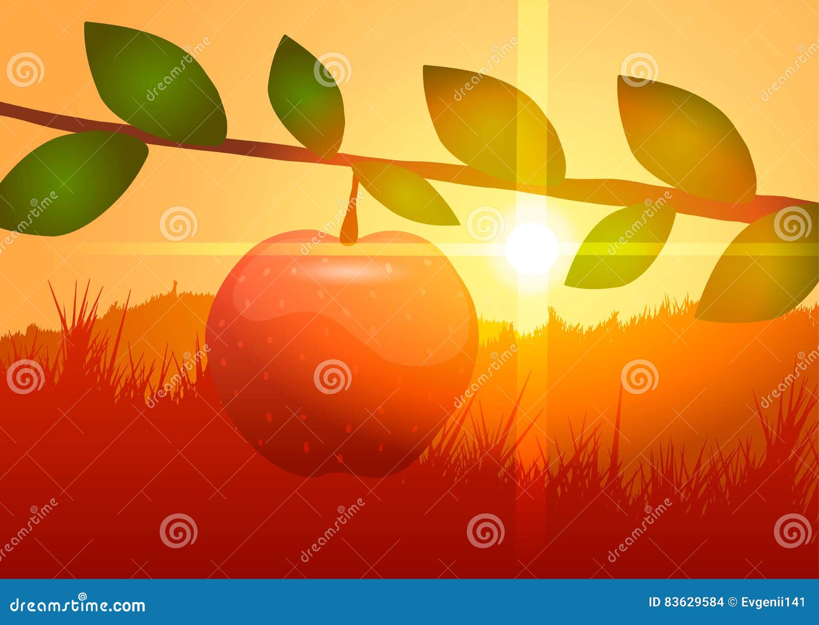 Apple on the Tree at Sunset. Stock Illustration - Illustration of green ...