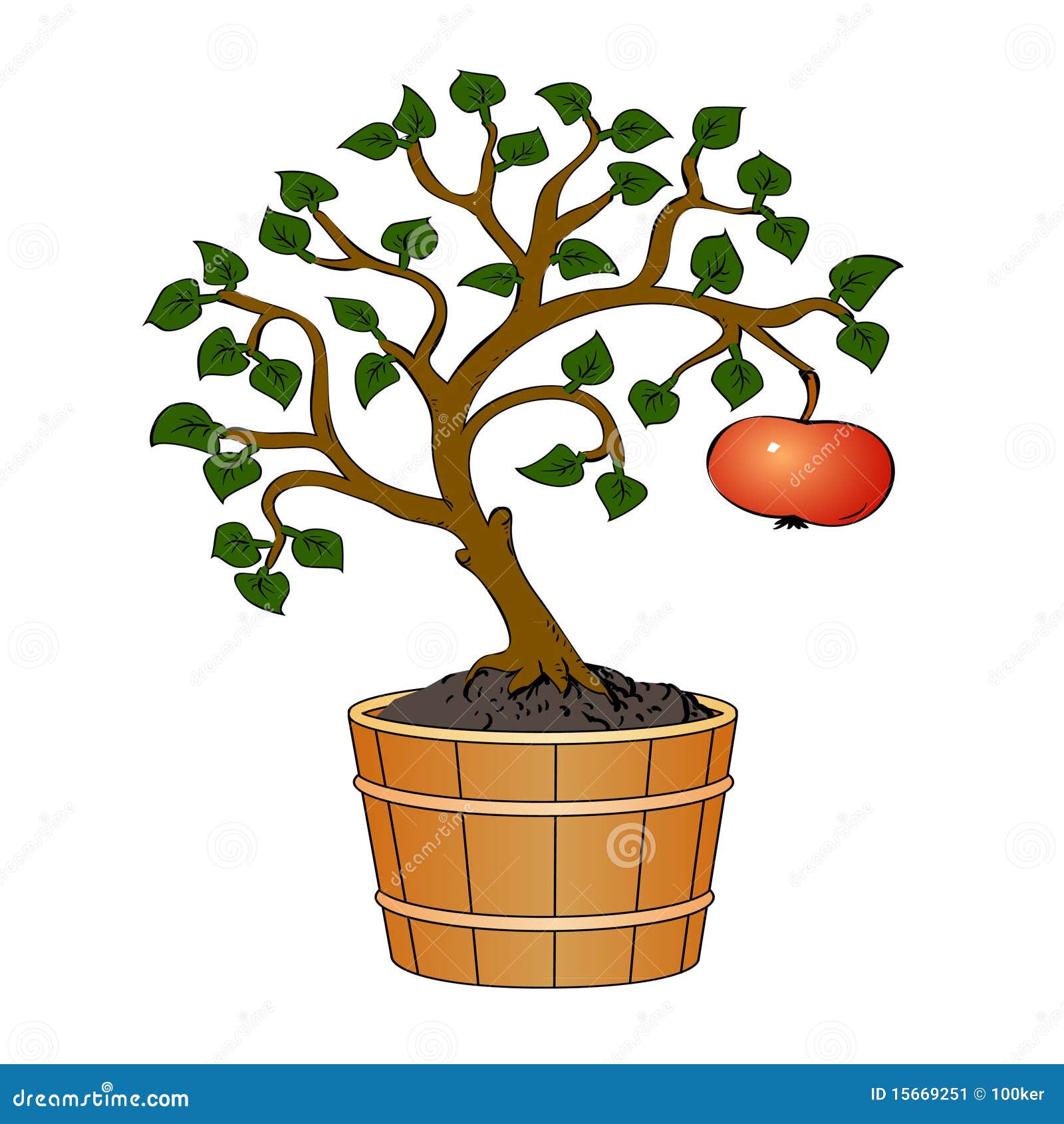 Apple tree in tub stock vector. Illustration of nature - 15669251