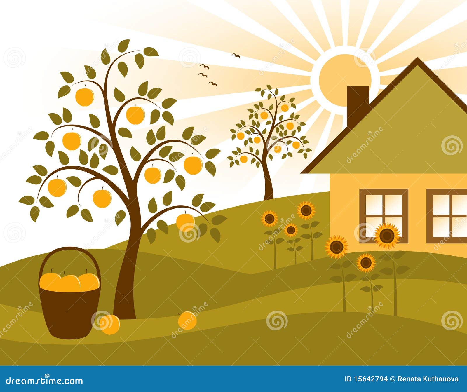 Apple Trees, Sunflowers and Cottage Stock Vector - Illustration of farm ...