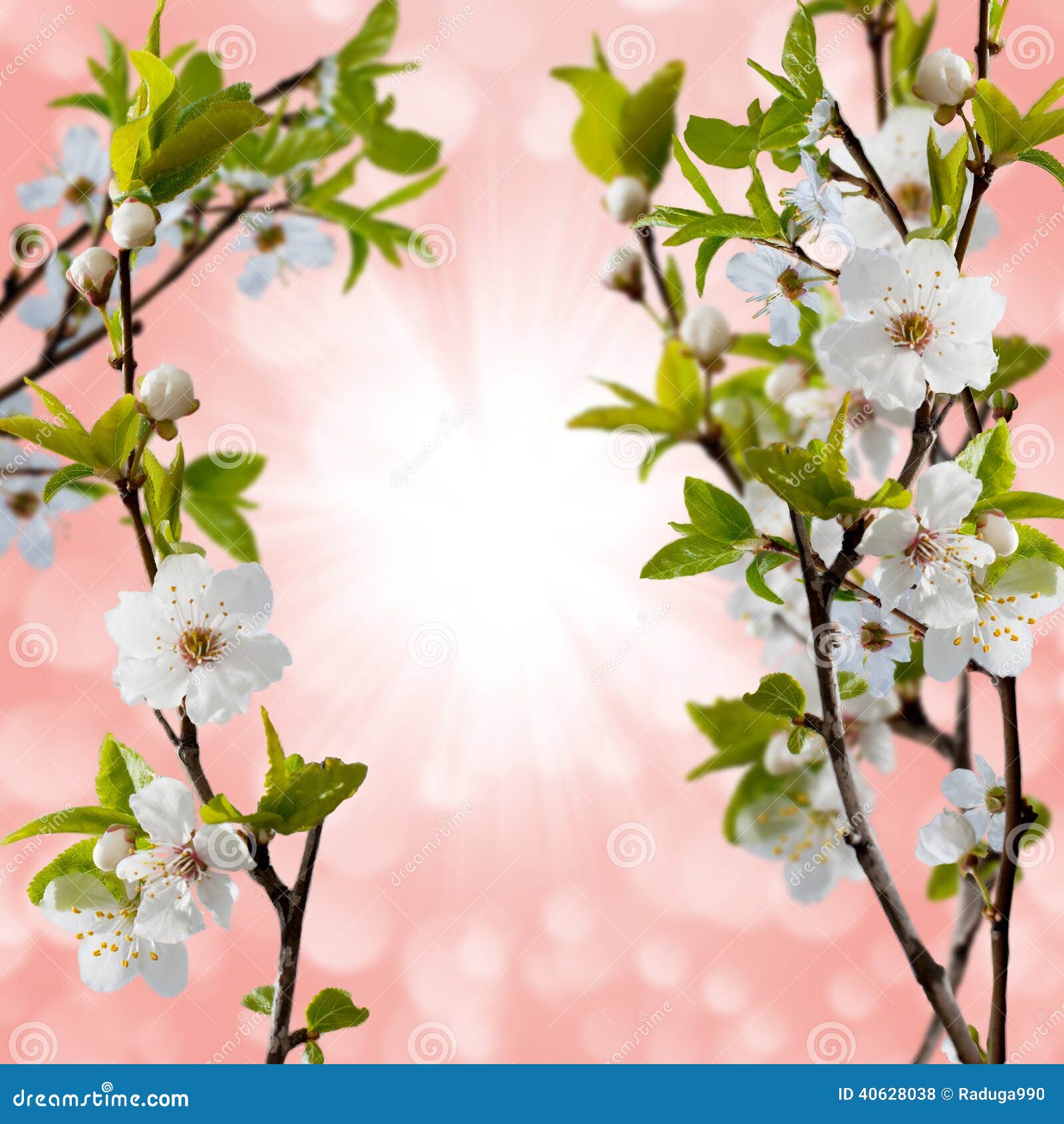 Apple twig stock photo. Image of wood, backgrounds, plants - 40628038